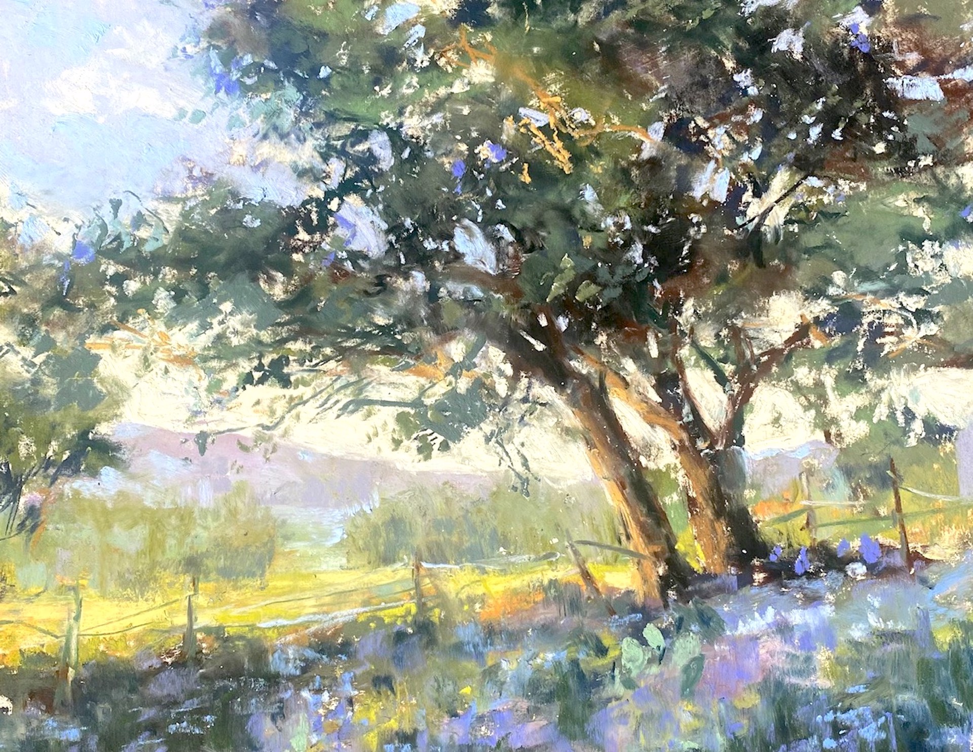 Clive R. Tyler | InSight Gallery