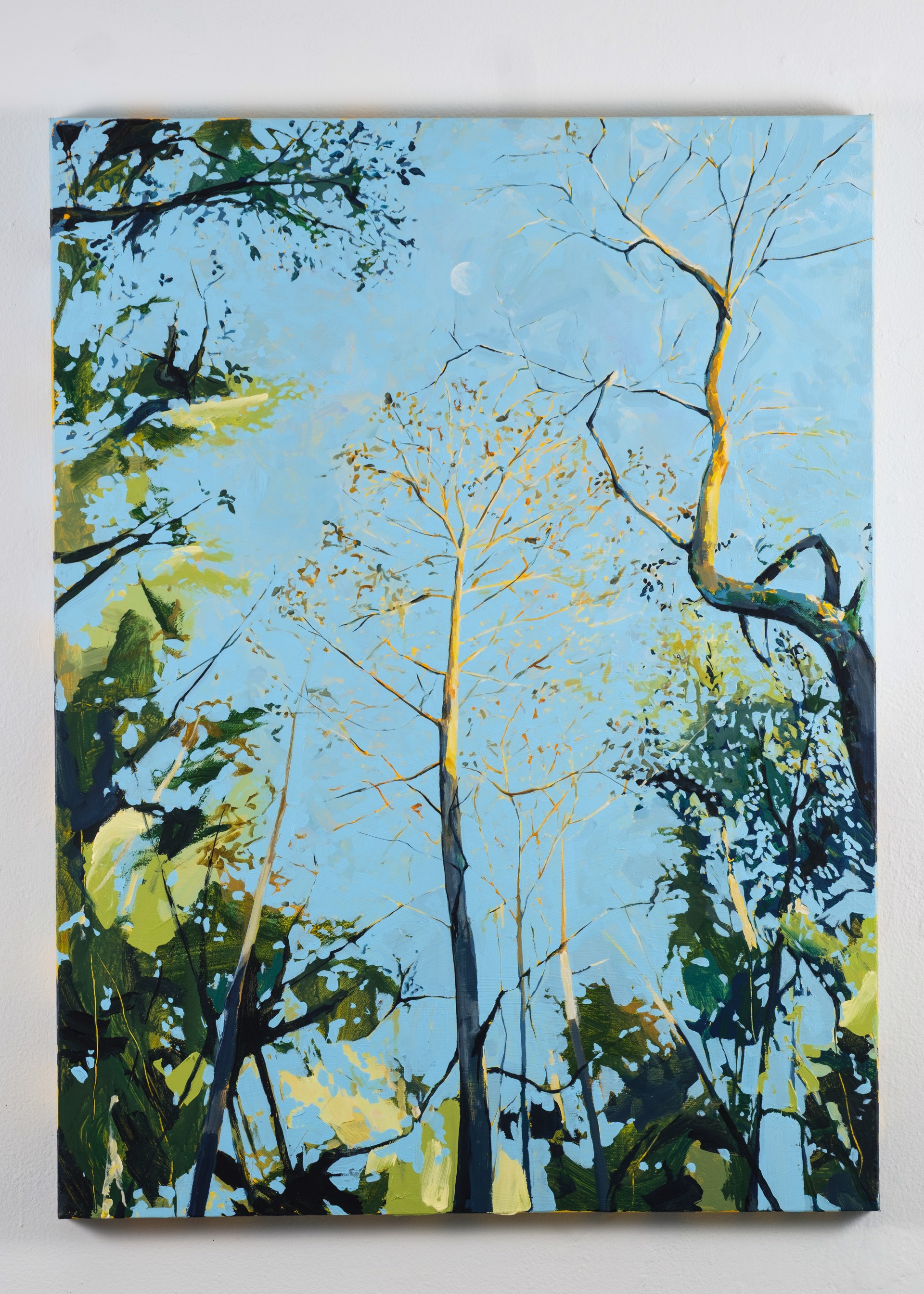 Madeline Kelly | Whitespace