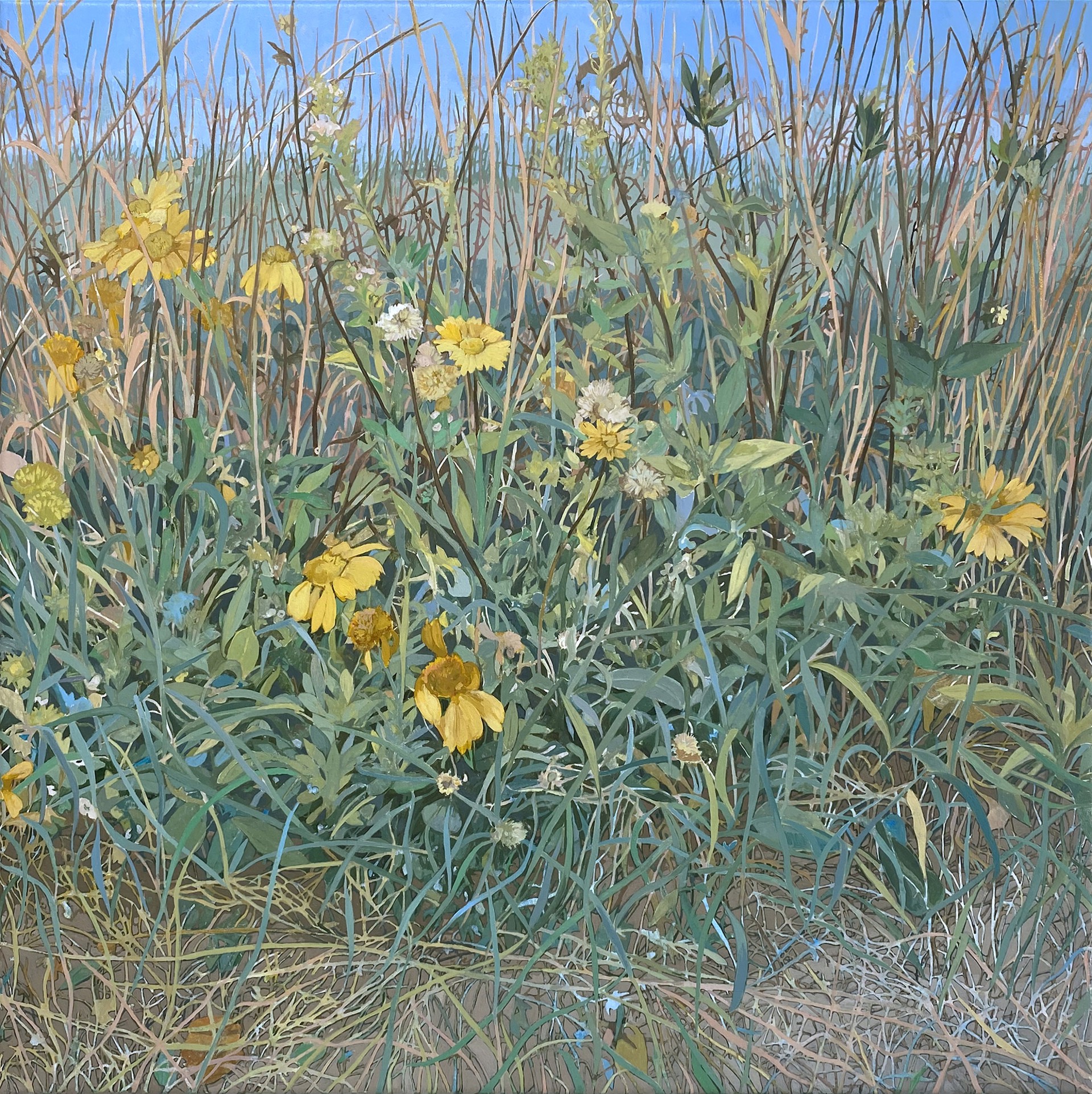 Conrad Clarke | CK Contemporary