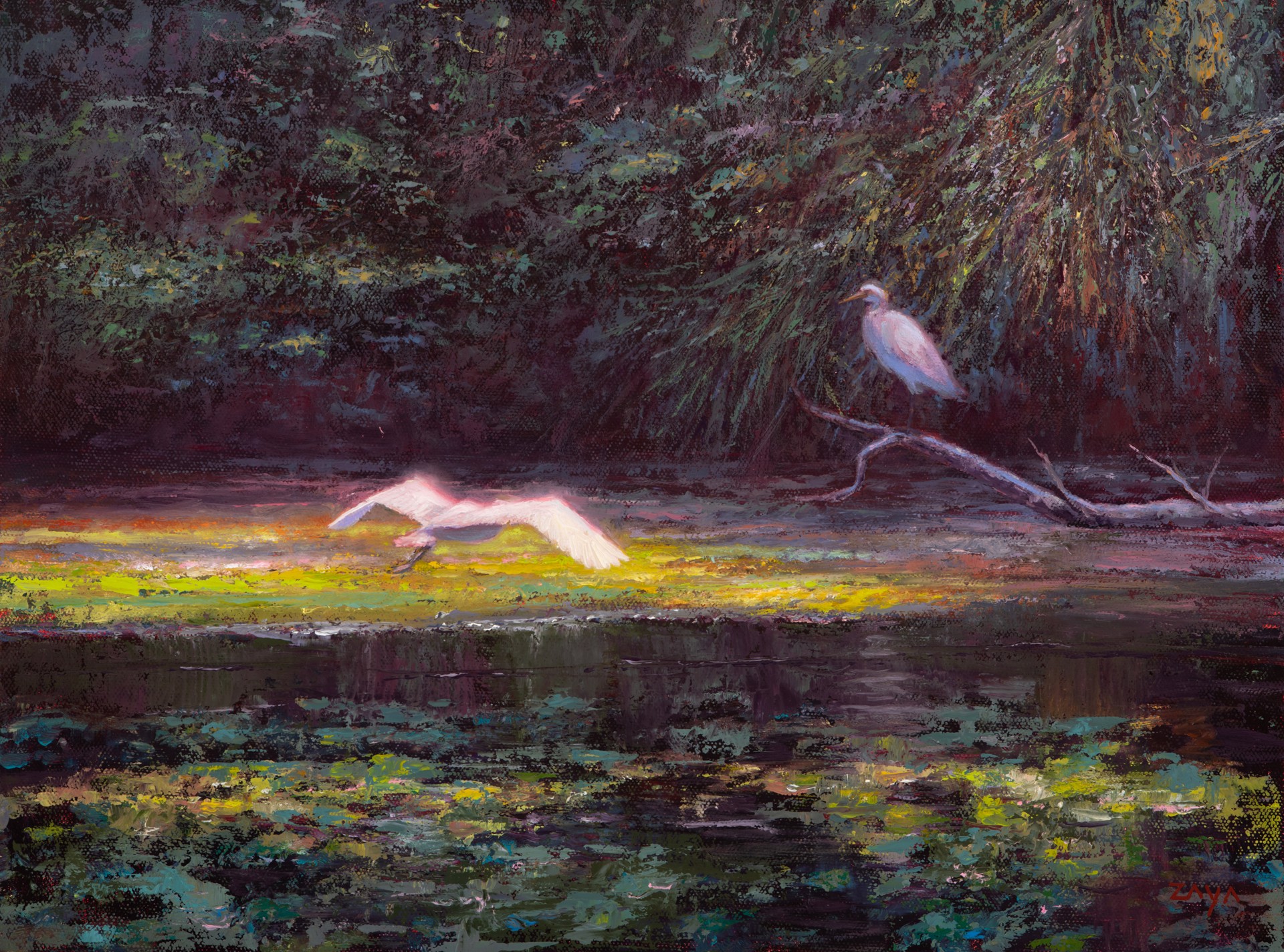 Coming In Hot By Isaiah Ratterman Dare Sandpiper Gallery Coming In Hot By Isaiah Ratterman Dare Sandpiper Gallery