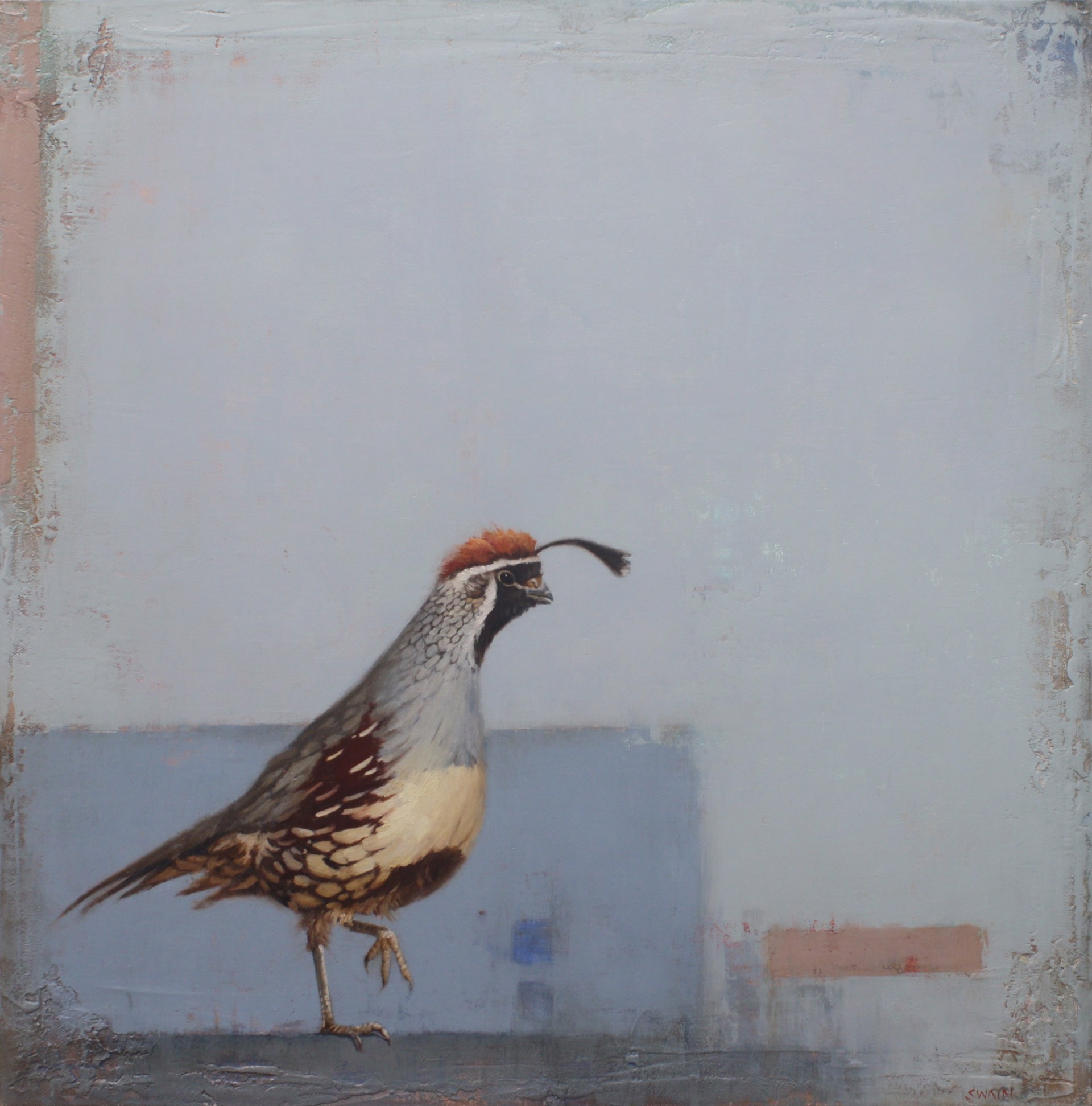Tyler Swain | The Marshall Gallery