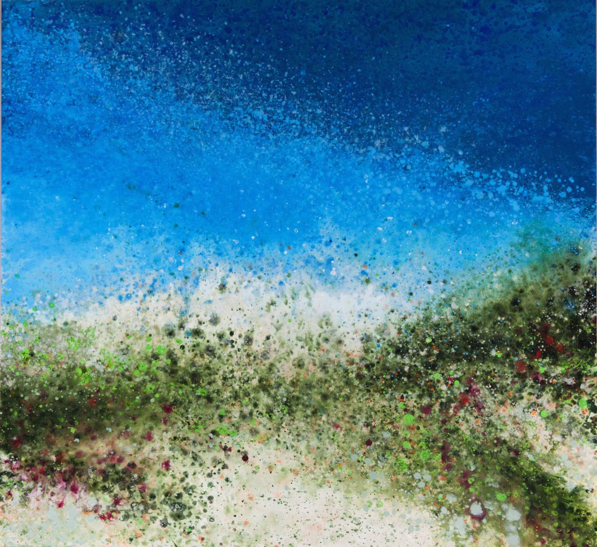 Henry Callahan | The Haen Gallery