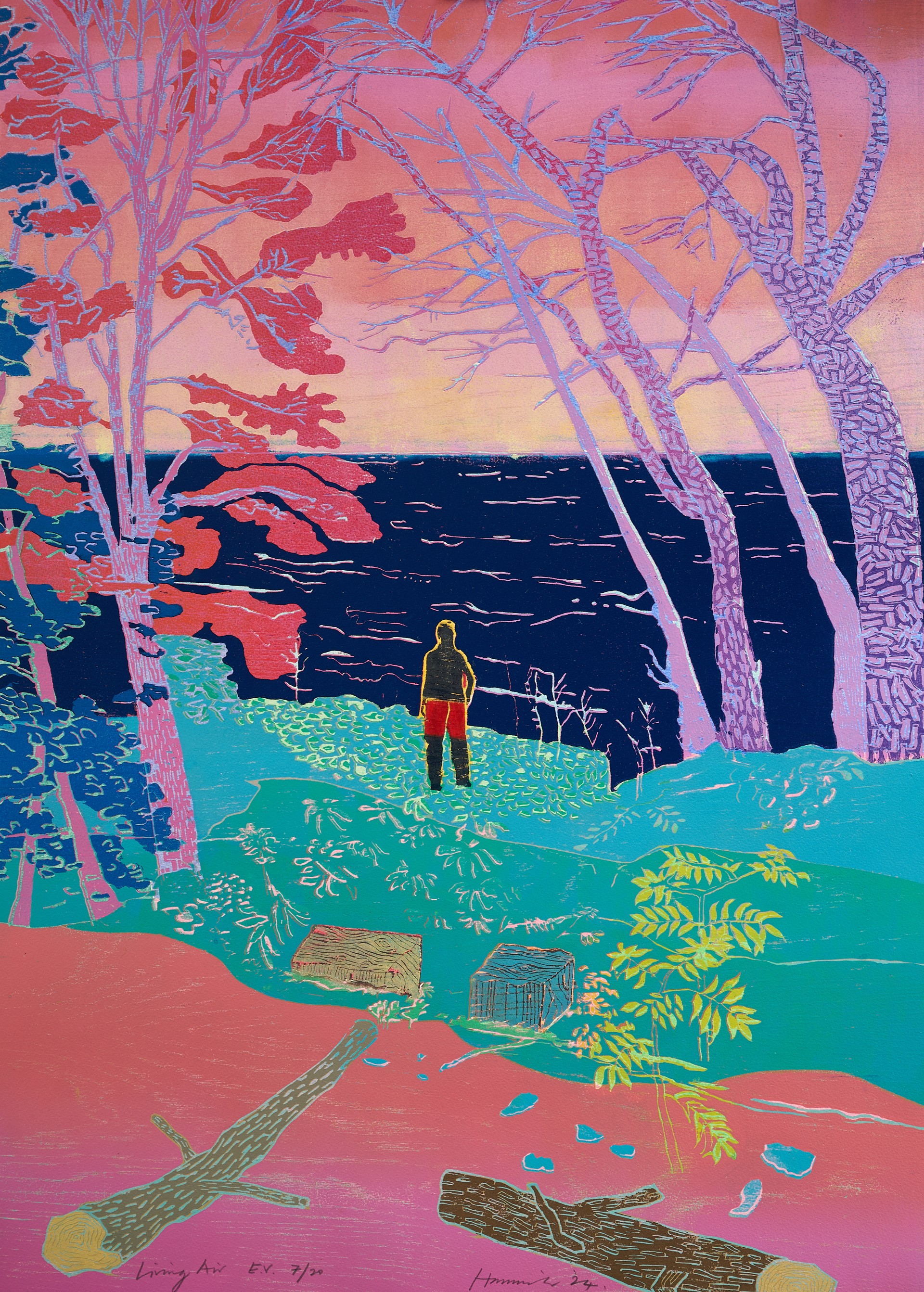Tom Hammick | Gail Severn Gallery