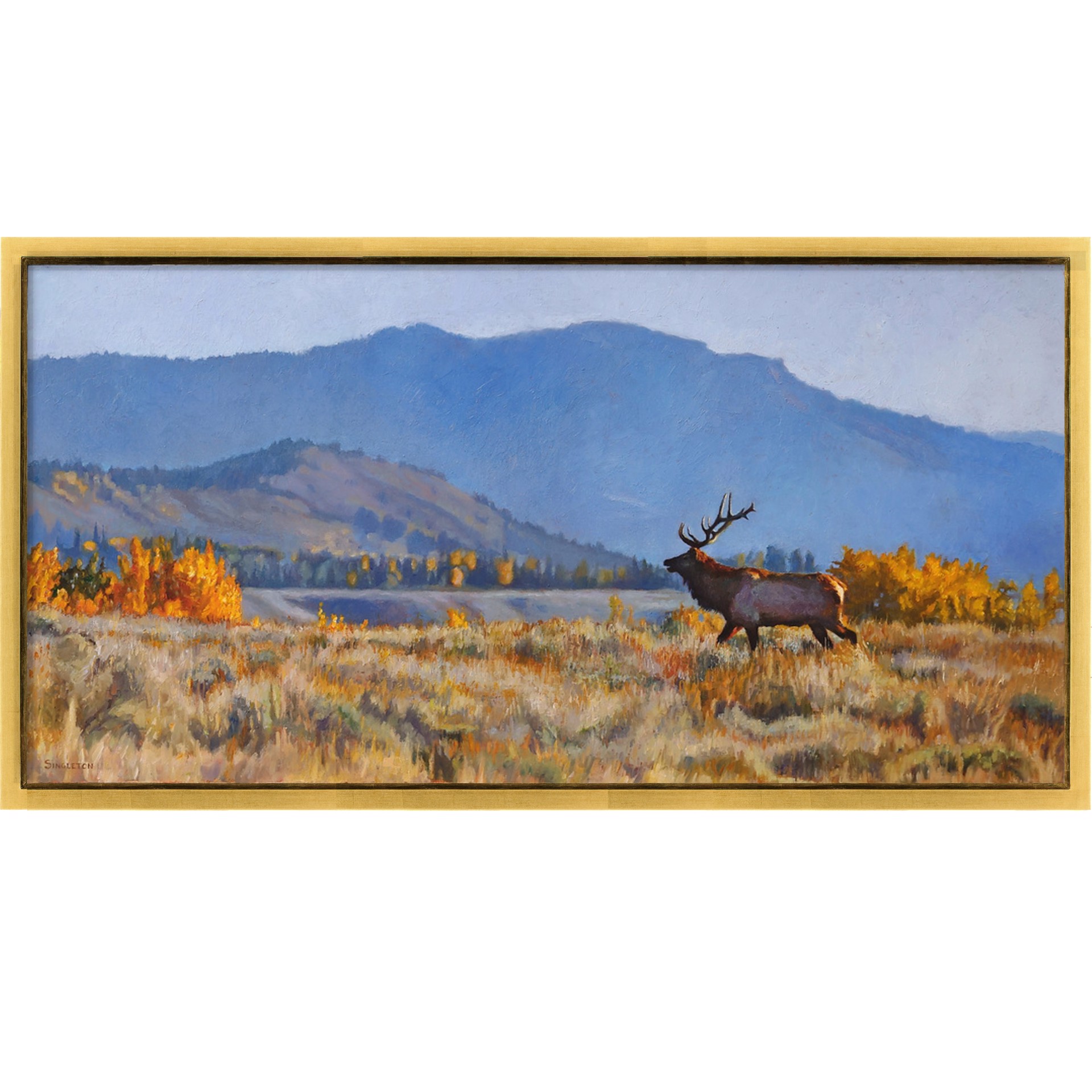 Kelly Singleton | Montana Trails Gallery
