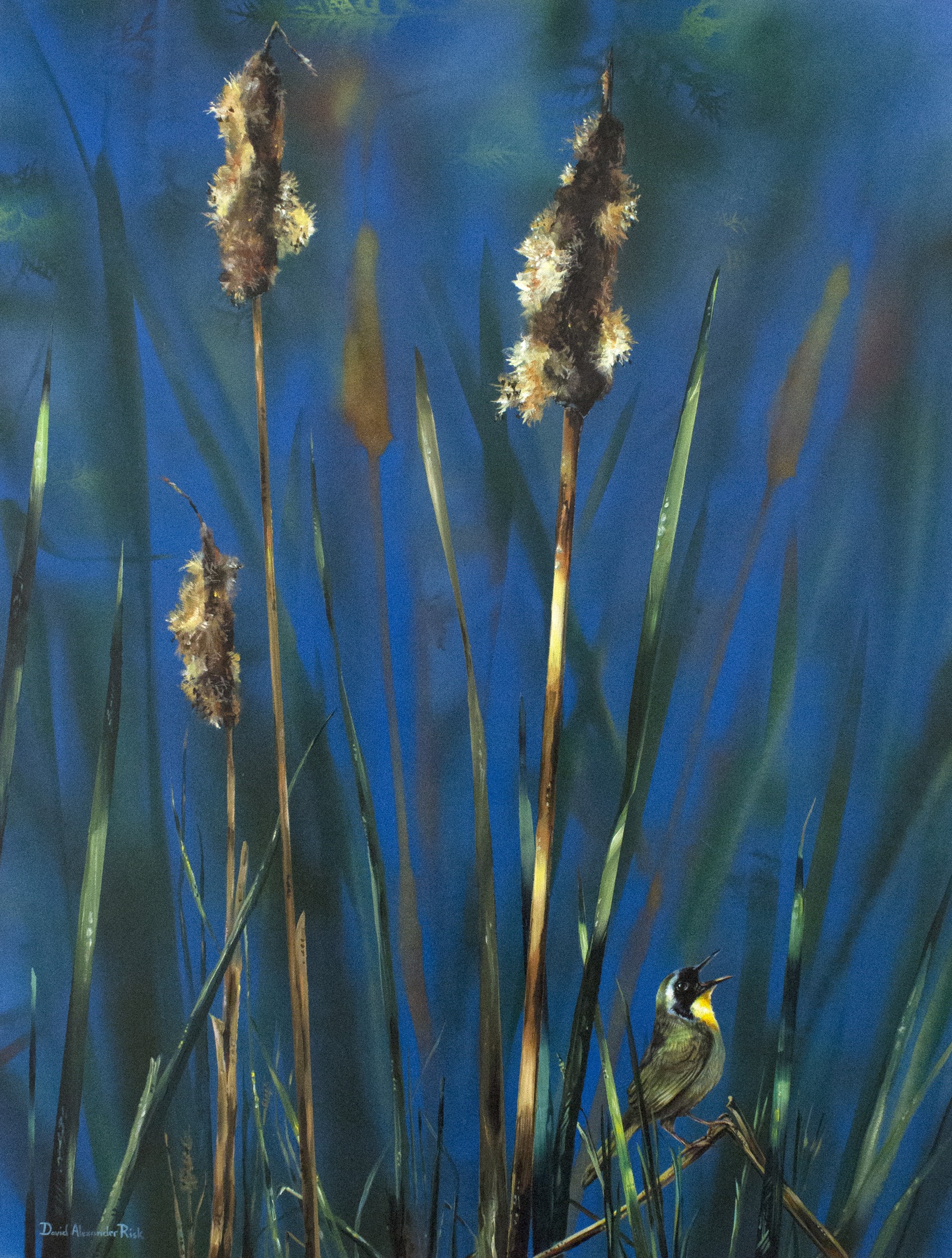 David Alexander Risk | Colborne Street Gallery