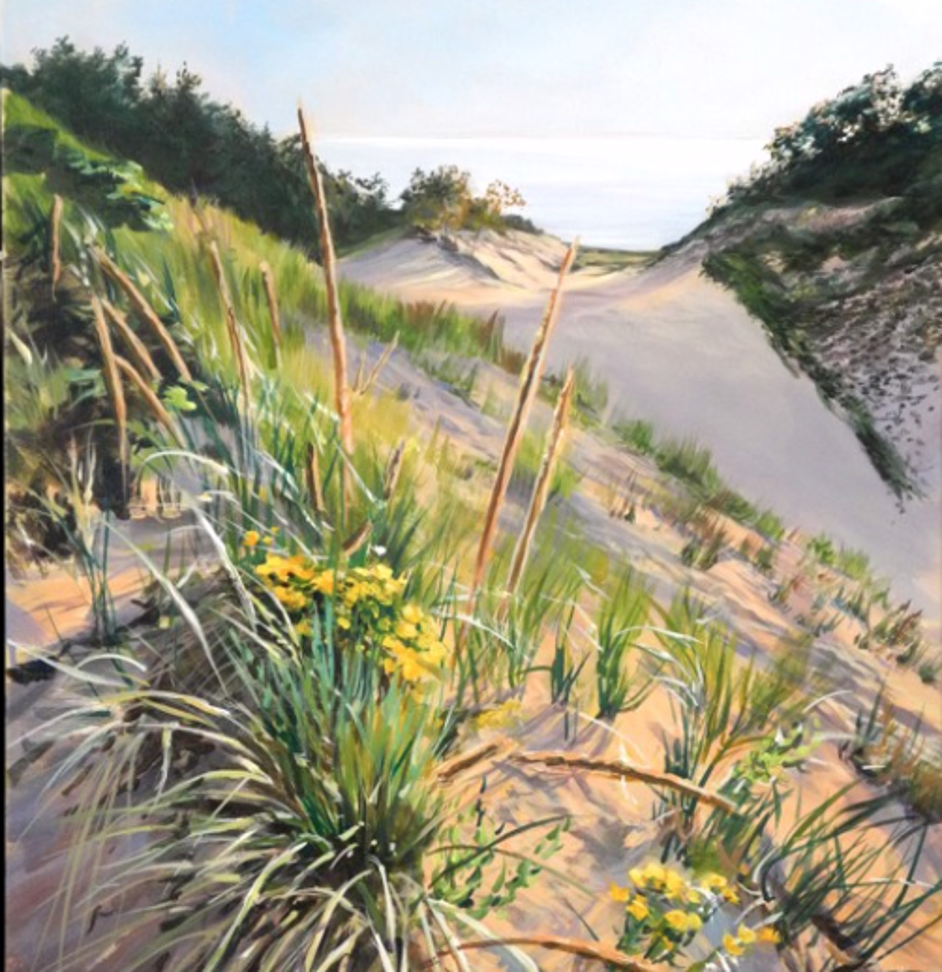 Artist Spotlight | Rein Vanderhill | J Petter Galleries