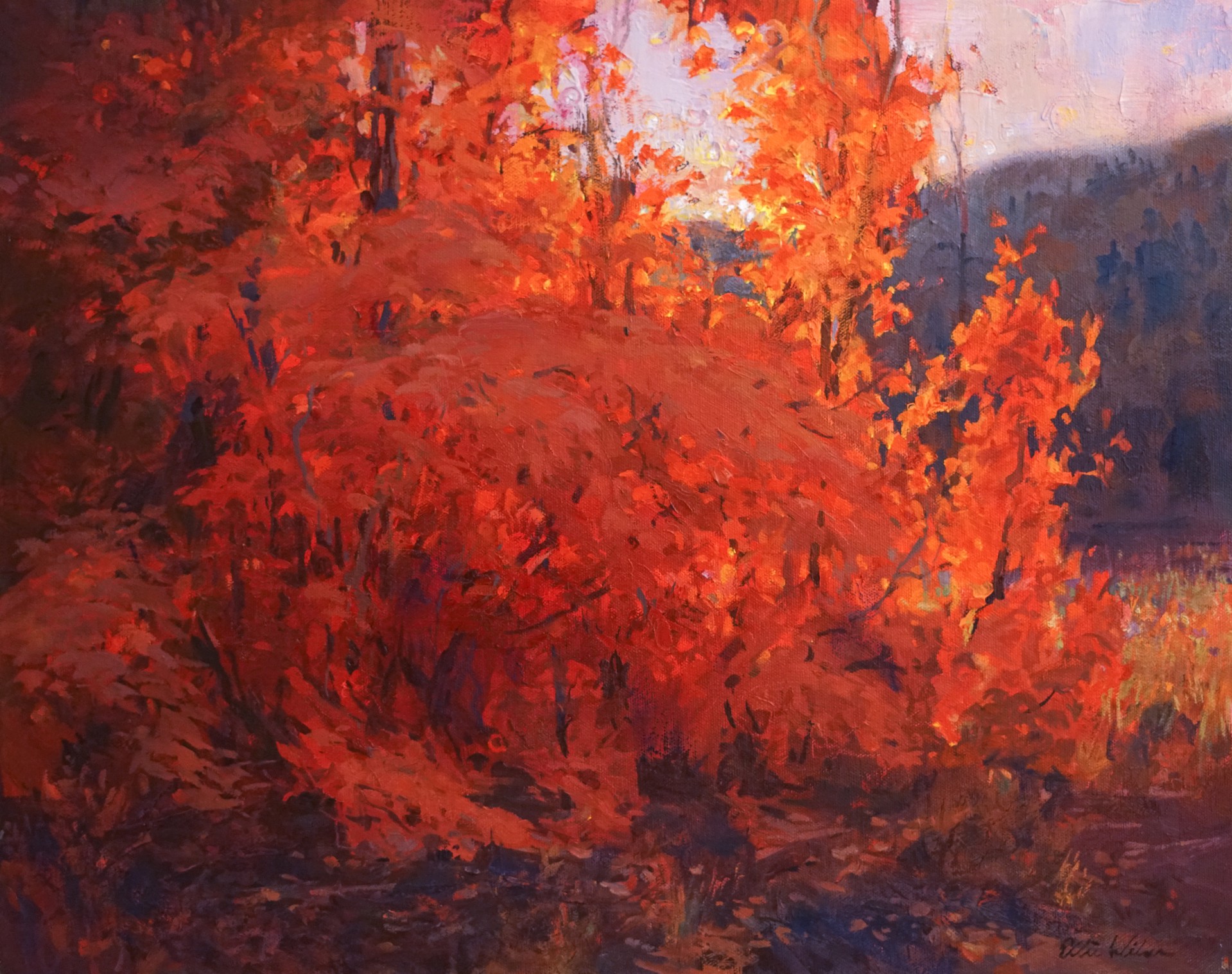 BURNING RED by Ellie Wilson | Montana Trails Gallery