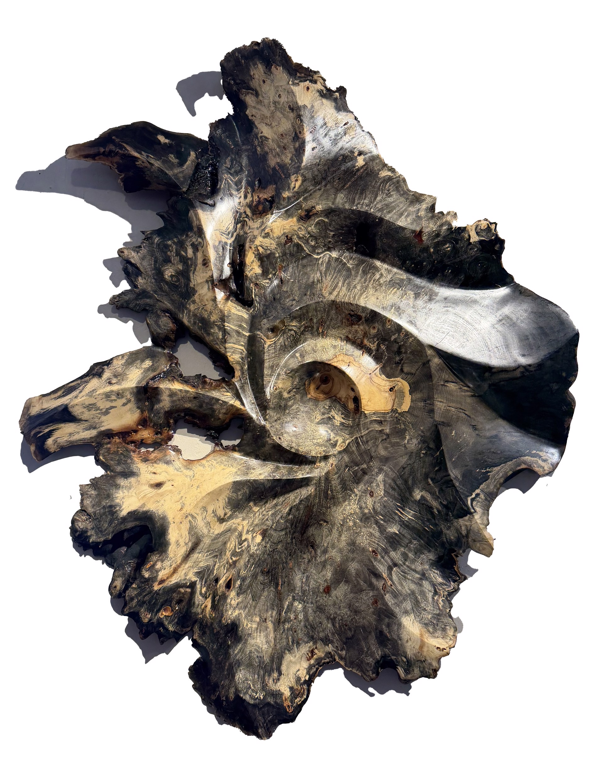 Vortex~ Buckeye Burl by Scott & Stephanie Shangraw | Cobalt Gallery
