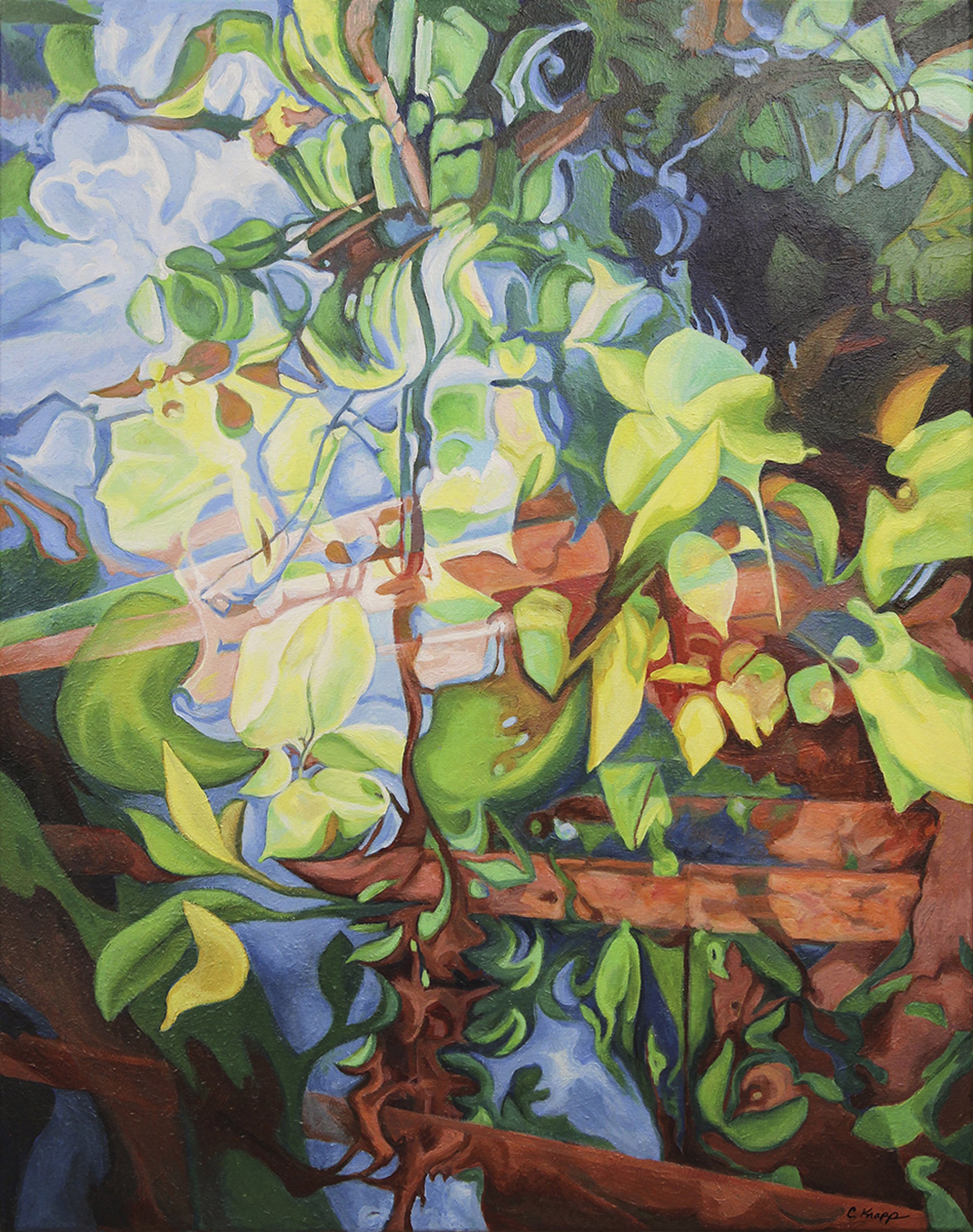 Candace Knapp | Soft Water Gallery