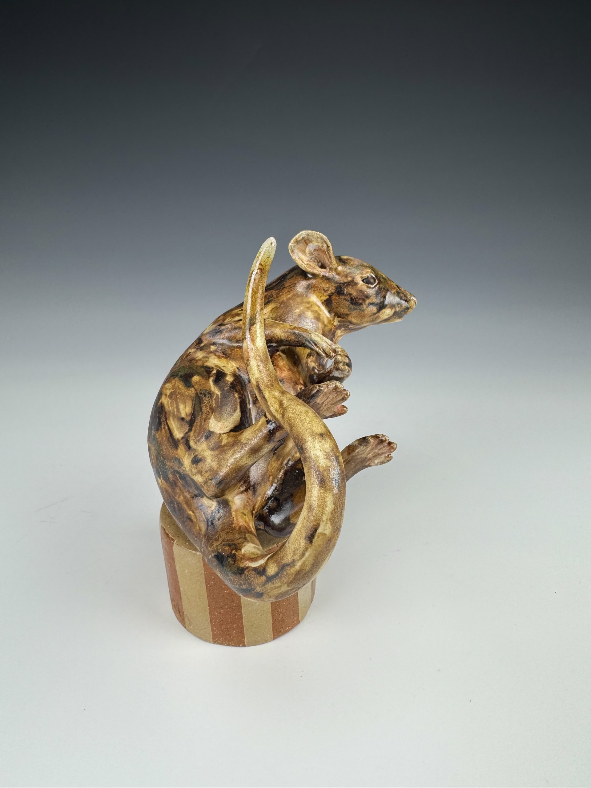 Mr. Splinter by Julia Burns | dk Gallery