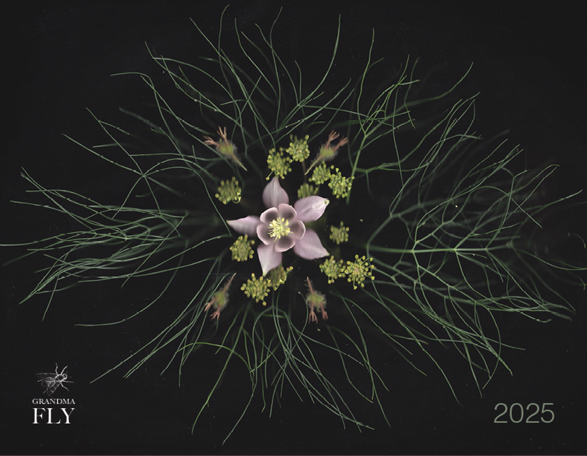 by Grace Duda | Vaunt Gallery