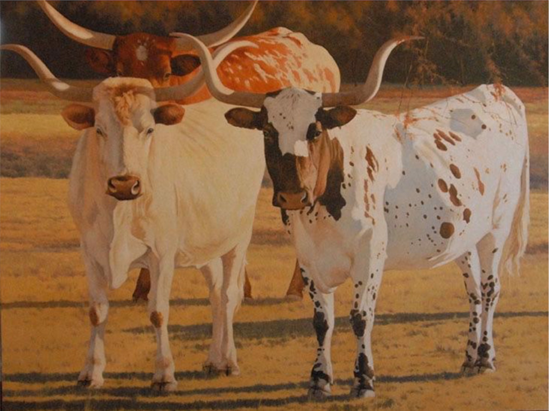 Ladies Club by Kim Donaldson | Kim Donaldson Art