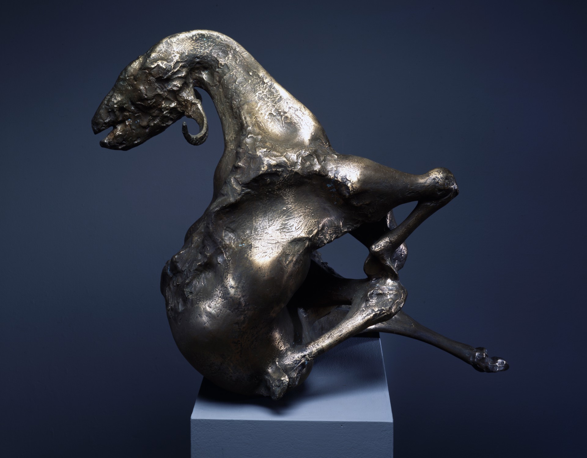 Bound Goat Thursday by Jack Zajac | DOLBY CHADWICK GALLERY