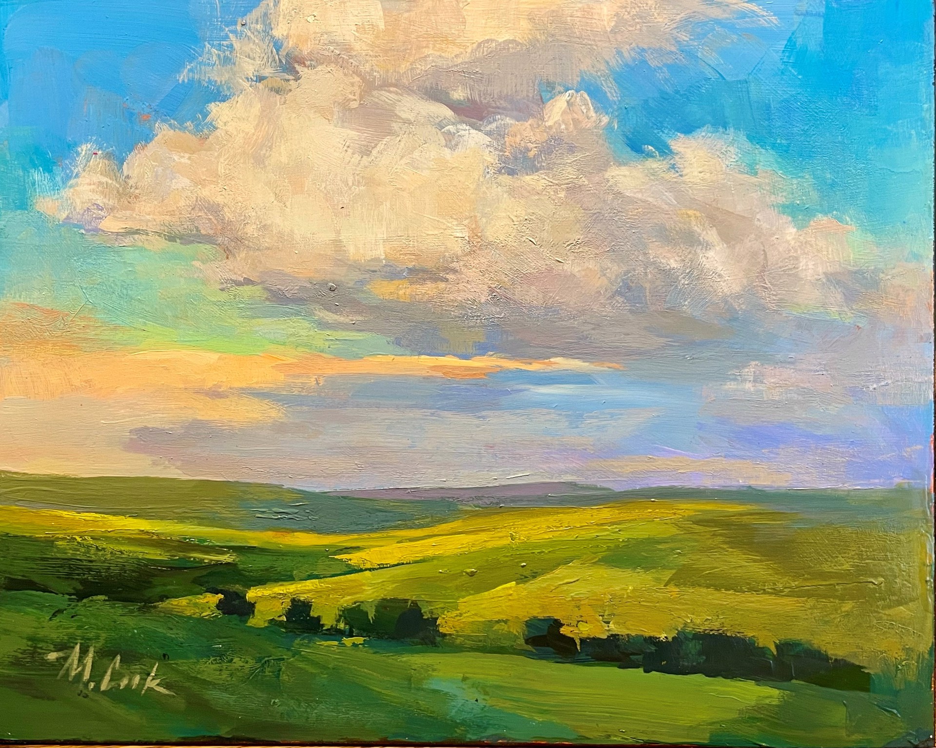 Mark Cook | Leopold Gallery + Art Consulting