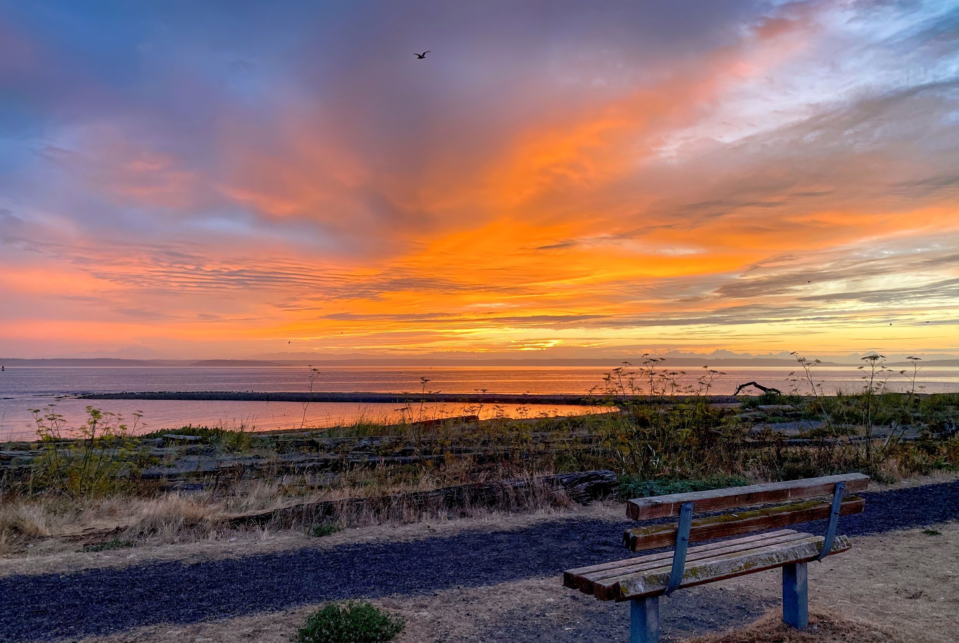 Port Townsend Sunrise Bench by Ron Stevenson | Barlow Gallery