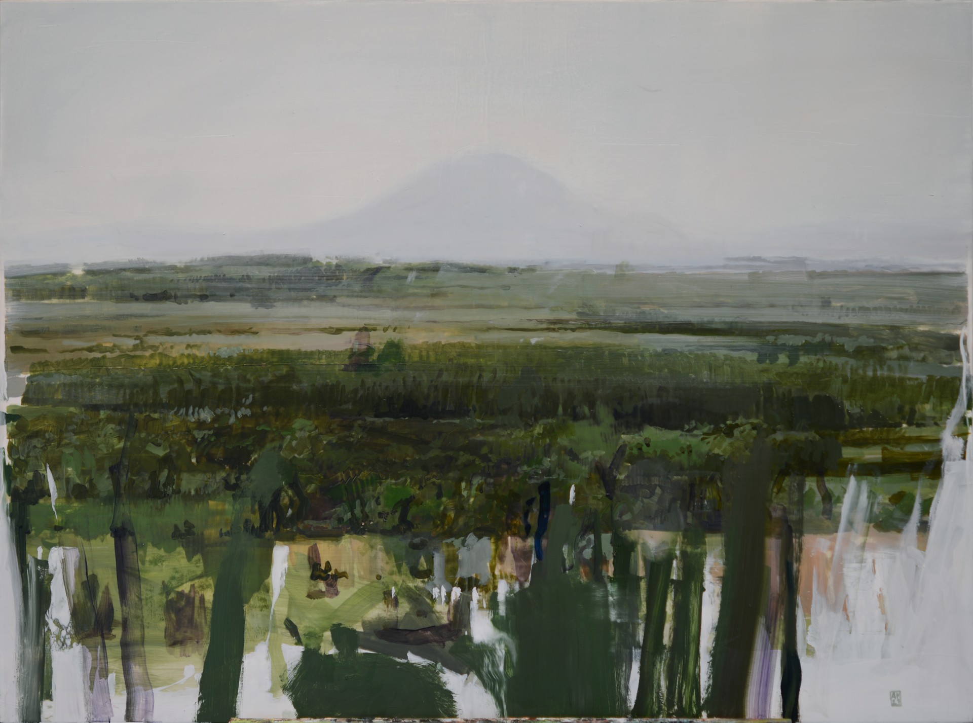 Mt. Nephin by Alex Kanevsky | DOLBY CHADWICK GALLERY