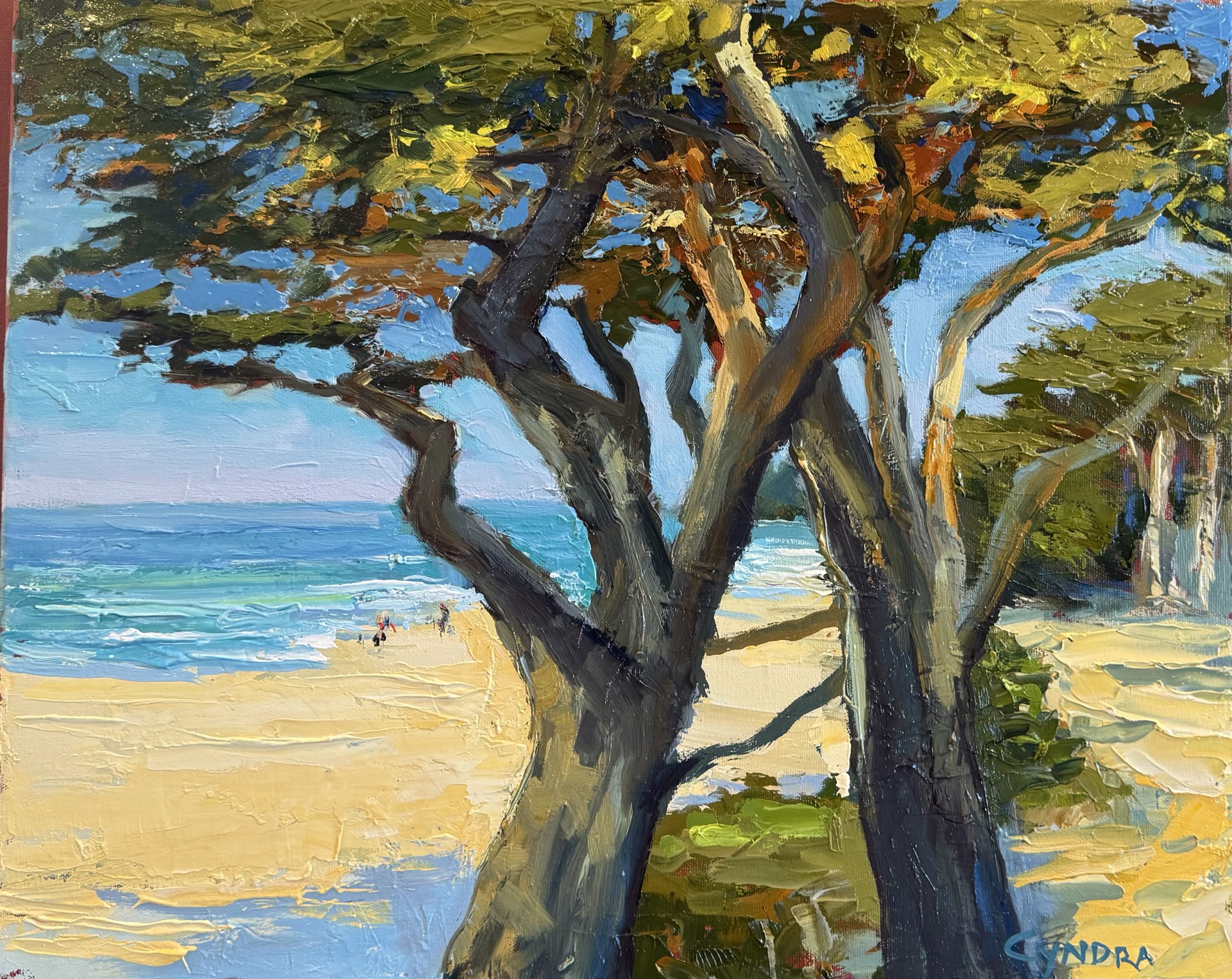 Cypress Light by Cyndra Bradford | Carmel Art Association