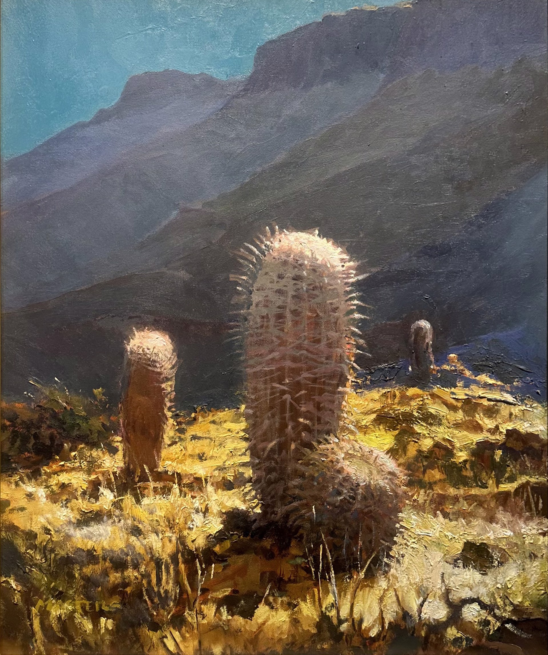 Terry Masters | Jones & Terwilliger Galleries