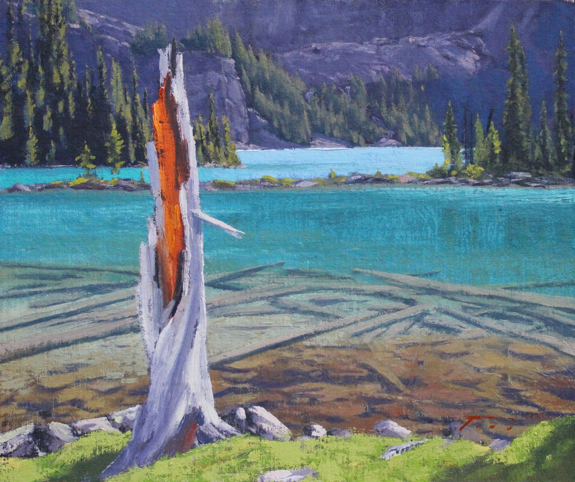 Lightning Struck Tree, Lake O Hara by Todd Lachance | Mountain Galleries Lightning Struck Tree, Lake O Hara by Todd Lachance | Mountain Galleries