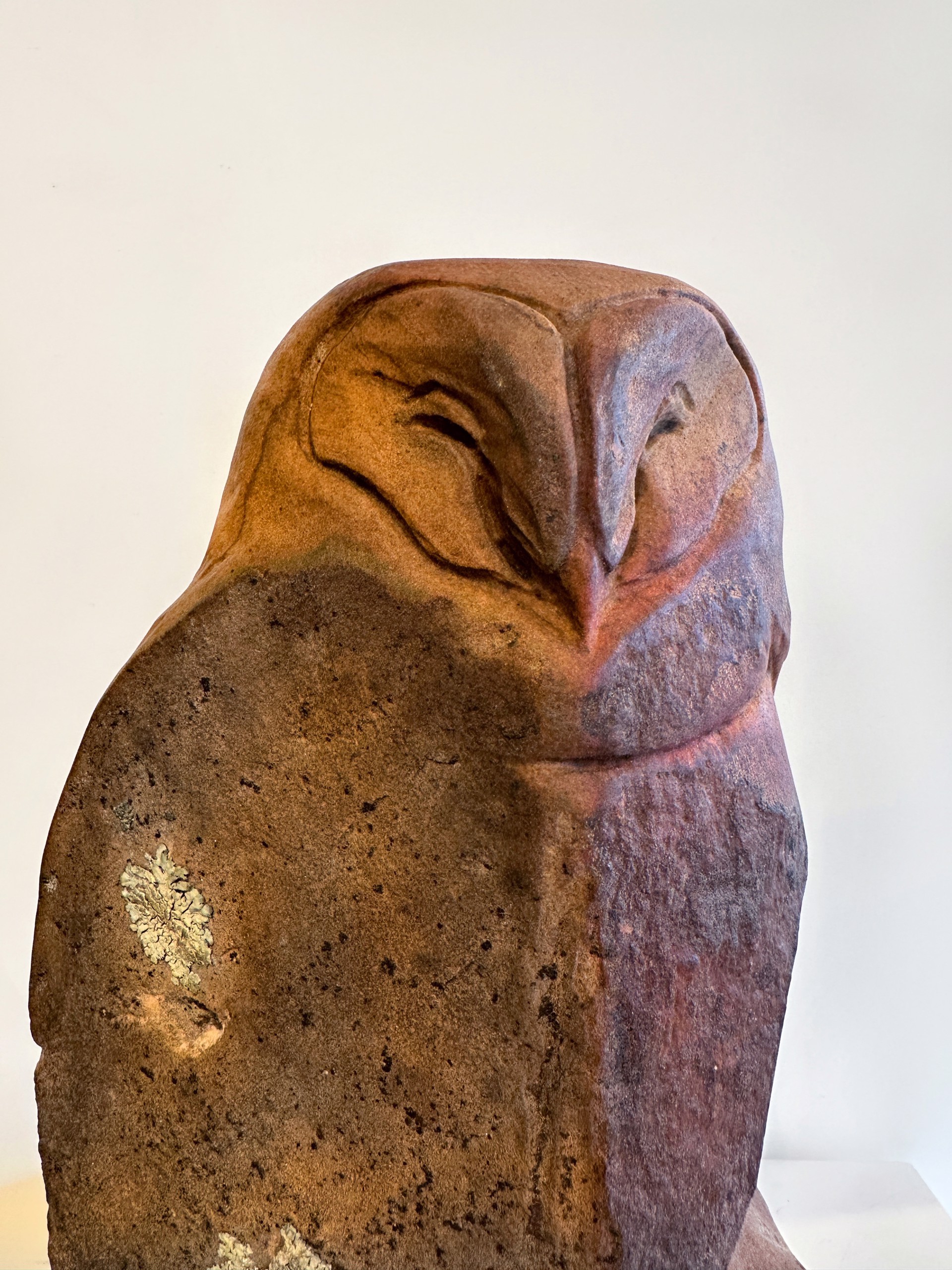 Vulnerable by Richard Burke | Gallery Wild