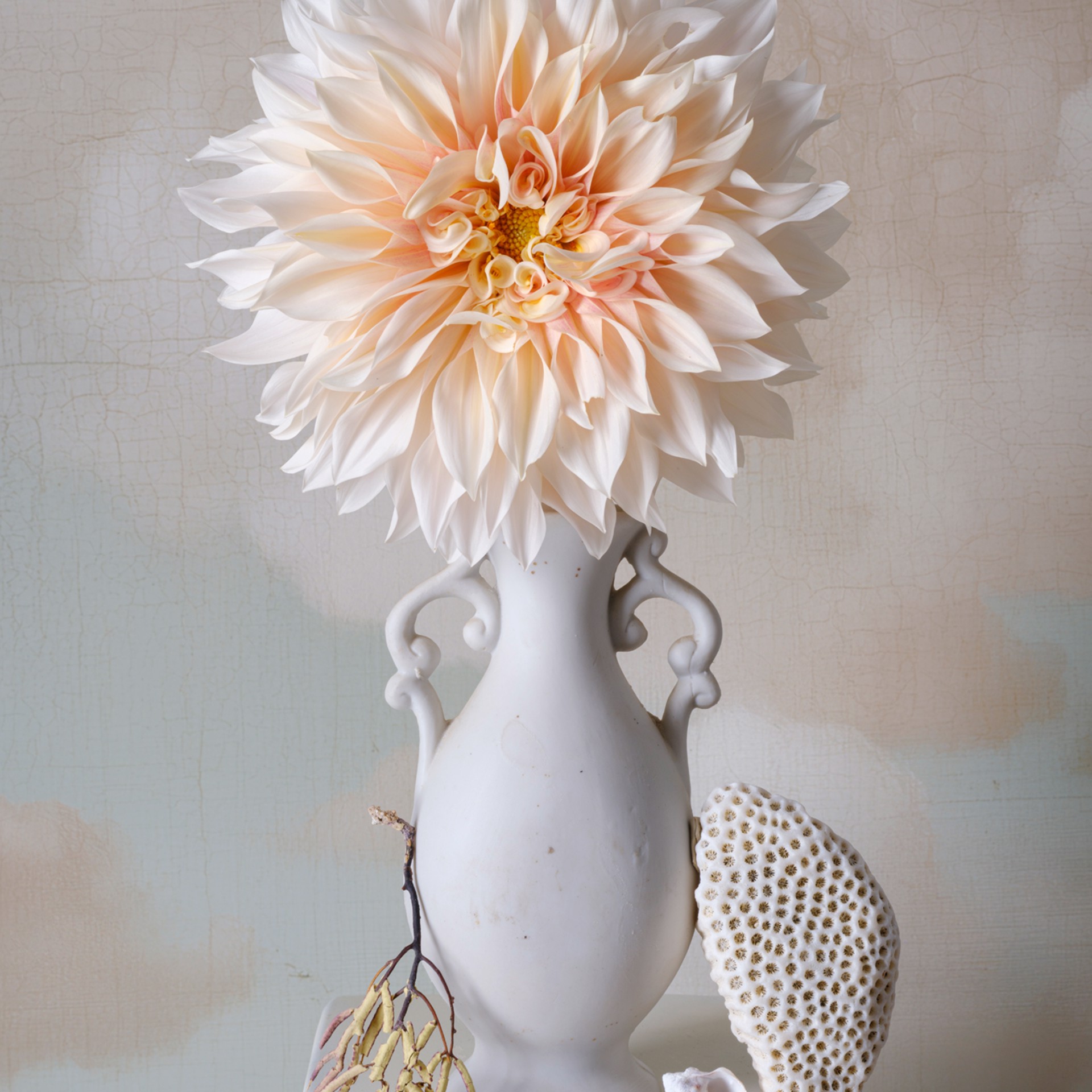 Cafe Au Lait and Coral by Kimberly Witham | Goetze Art & Design