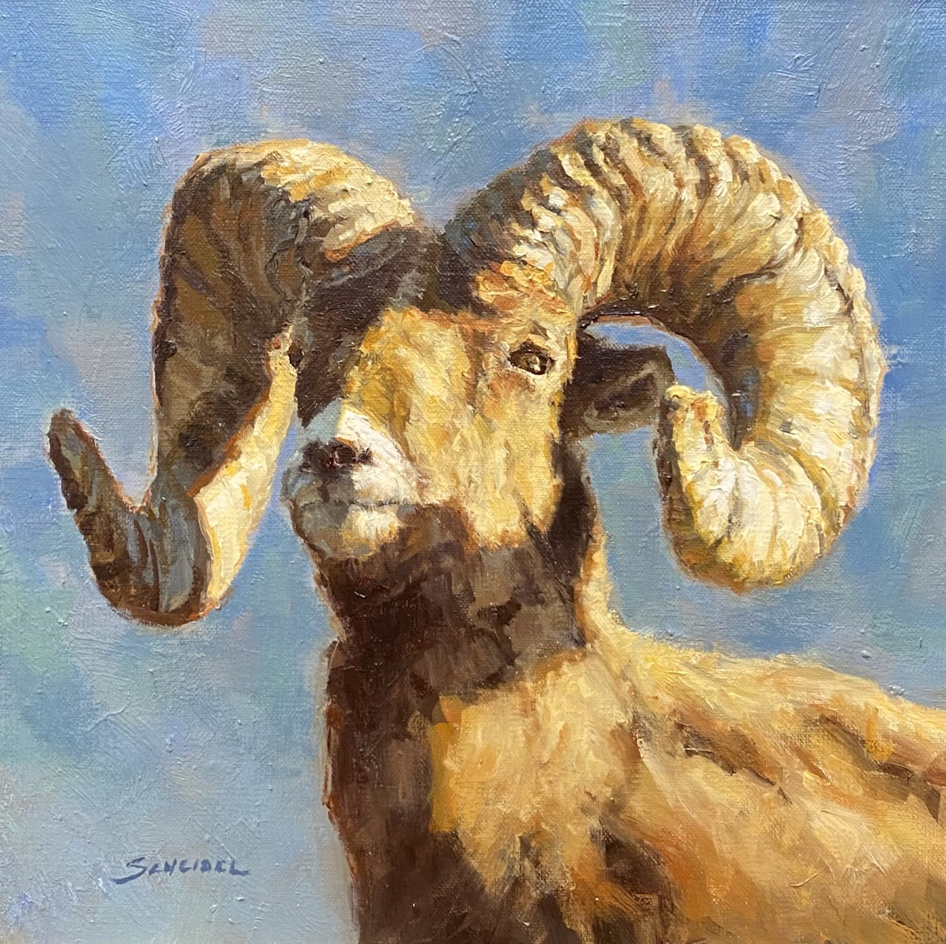 BIGHORN by Greg Scheibel | Montana Trails Gallery