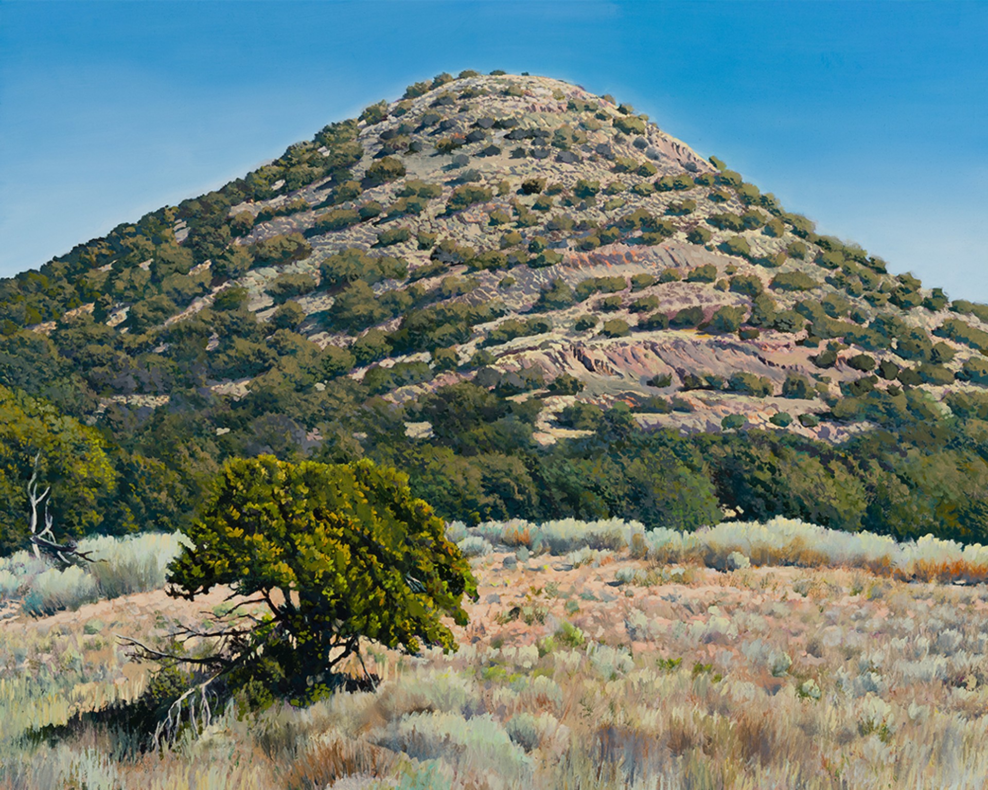 Woody Gwyn: Power of Art | LewAllen Galleries