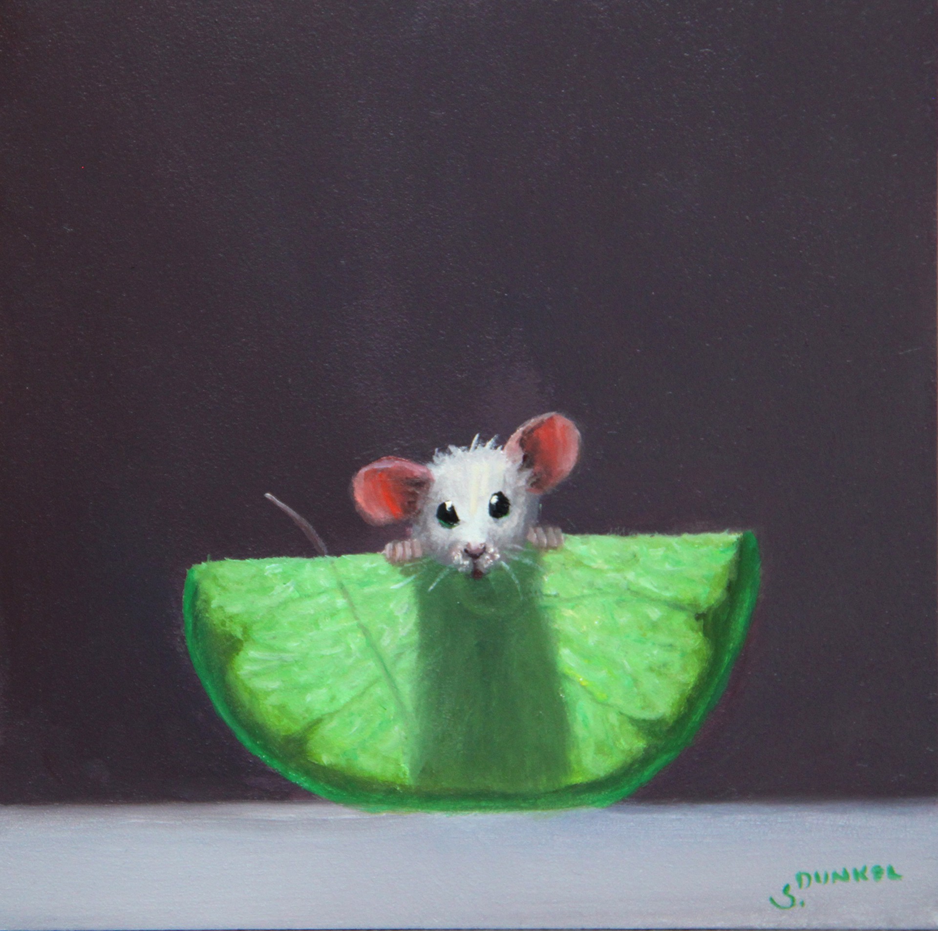 Lime Xray by Stuart Dunkel | The Marshall Gallery