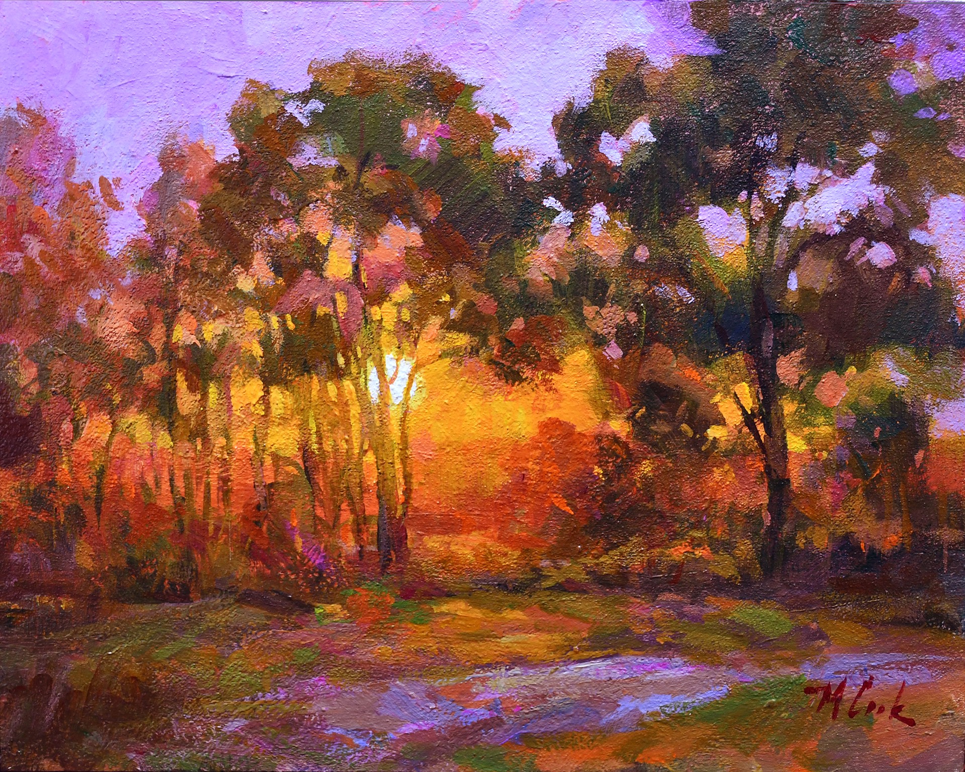 Path at Volland by Mark Cook | Leopold Gallery + Art Consulting