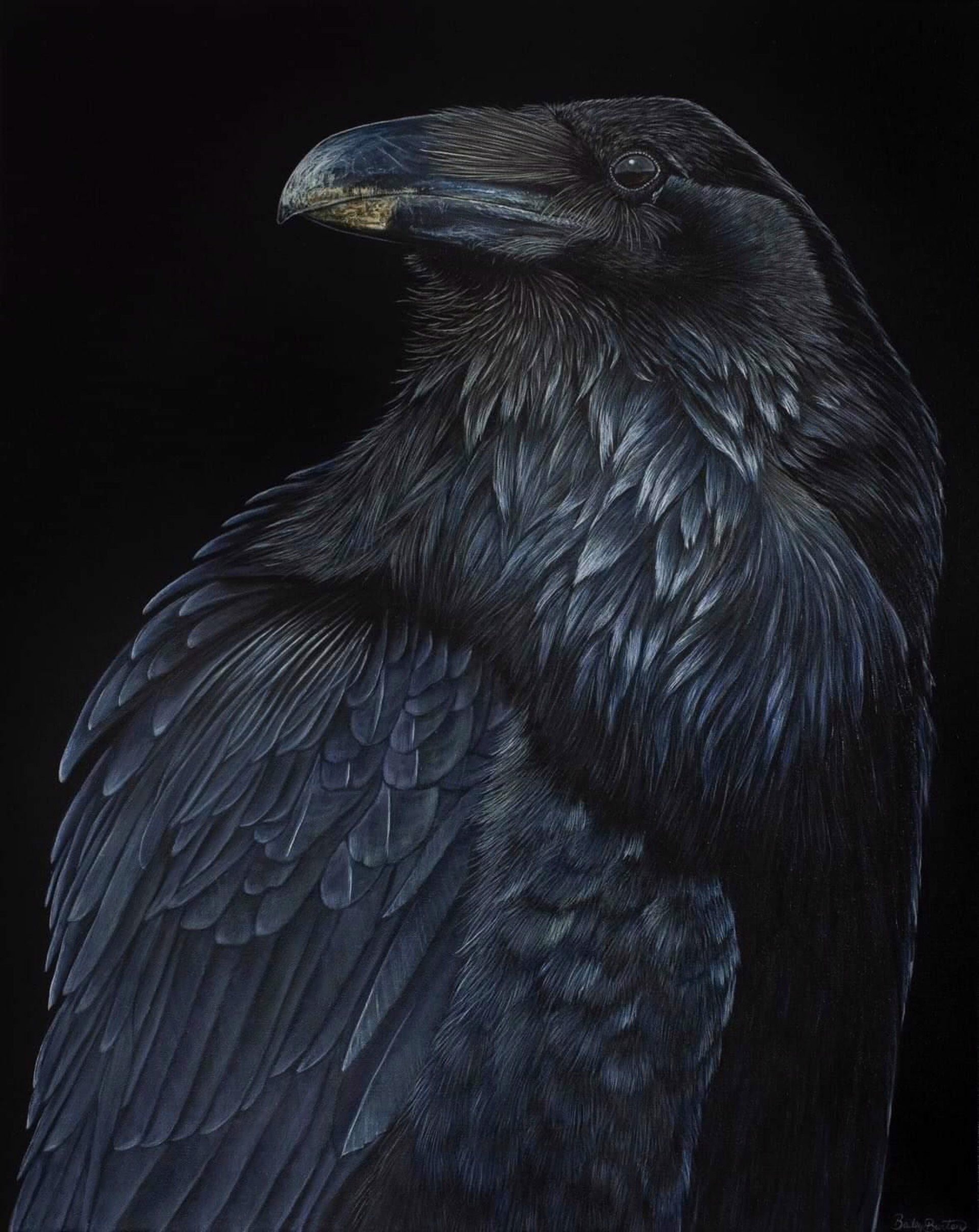Raven by Bailey Burton | Cassens Fine Art