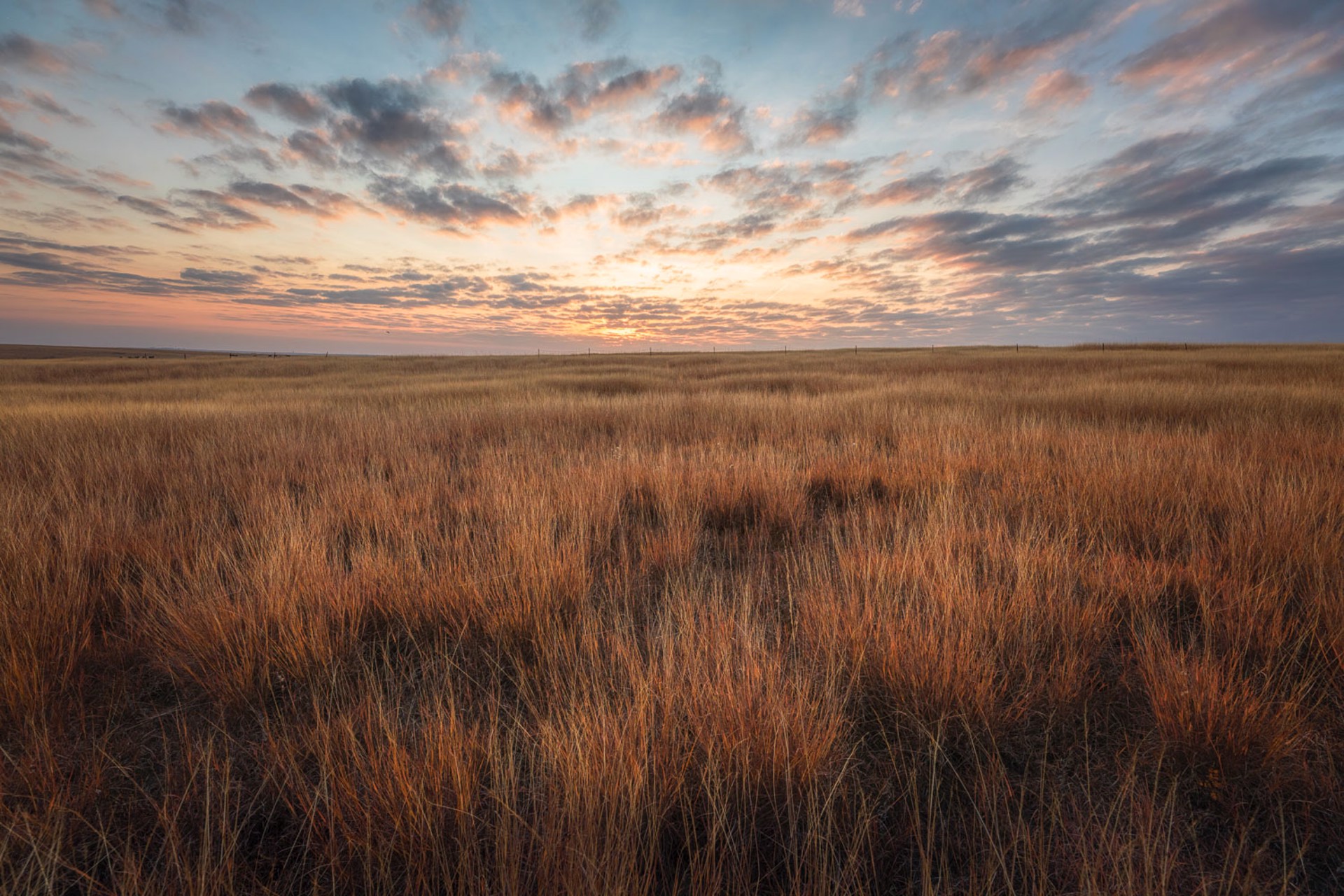 Scott Bean | Prairiebrooke Arts