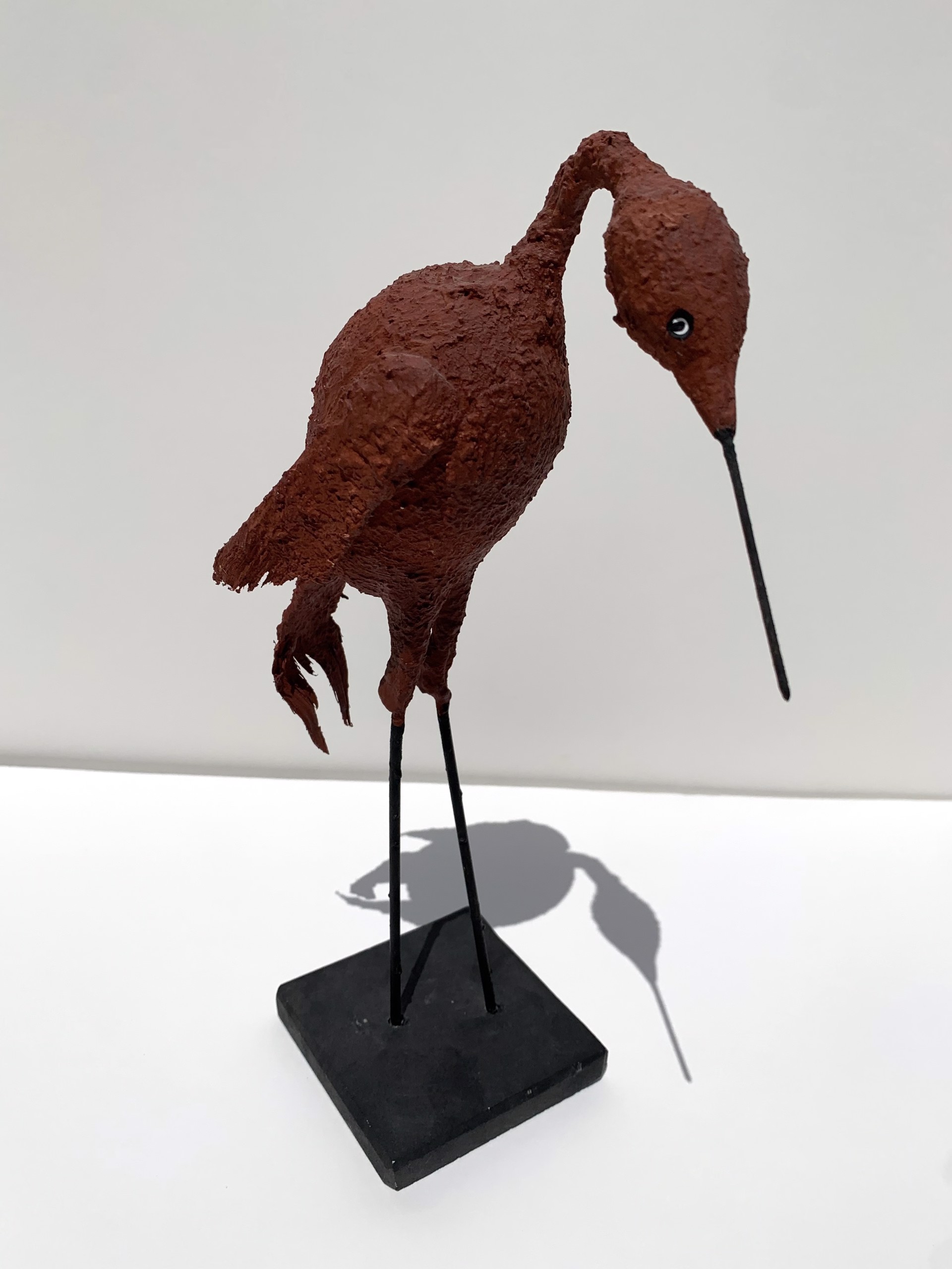 Needle Beaked, Stalking Bird by James Rivington Pyne | Maine Art Hill