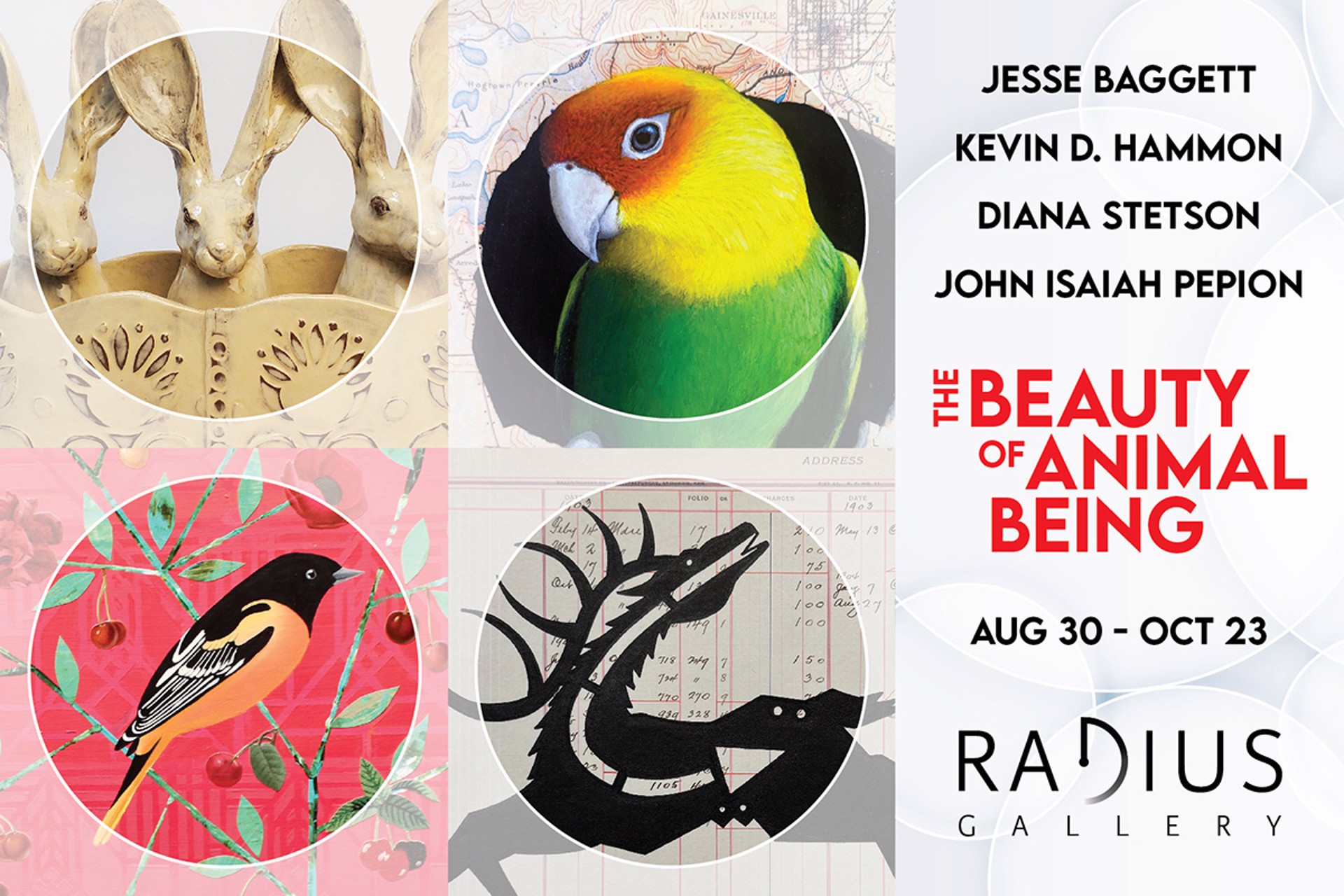 The Beauty of Animal Being | Radius Gallery