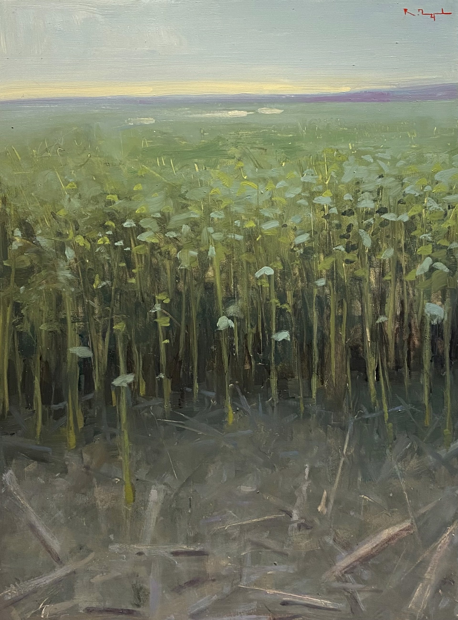 Reed Fields by Riley Doyle | Abend Gallery