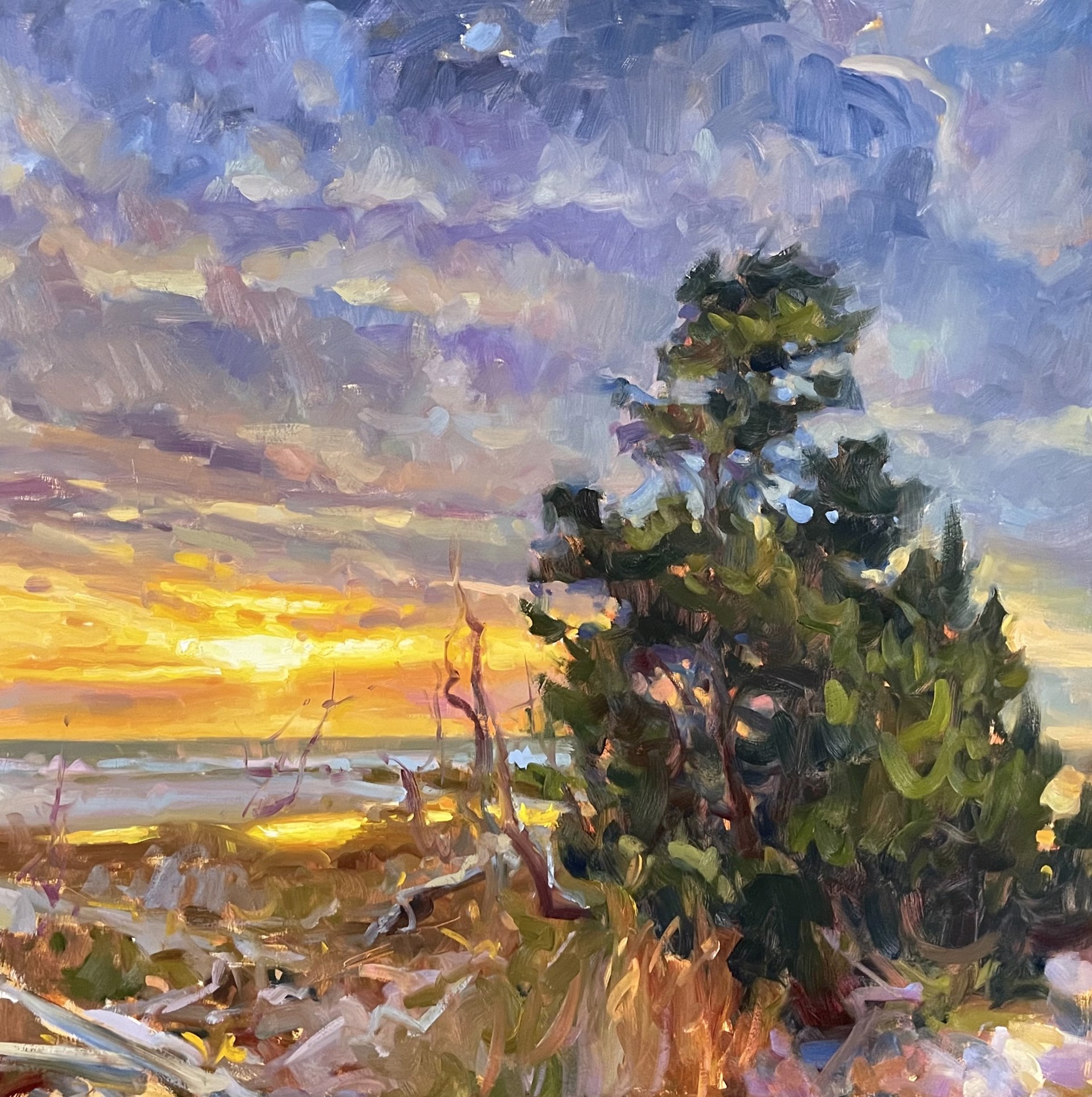 Boneyard Beach Sunrise By Shannon Smith Hughes Anglin Smith Fine Art