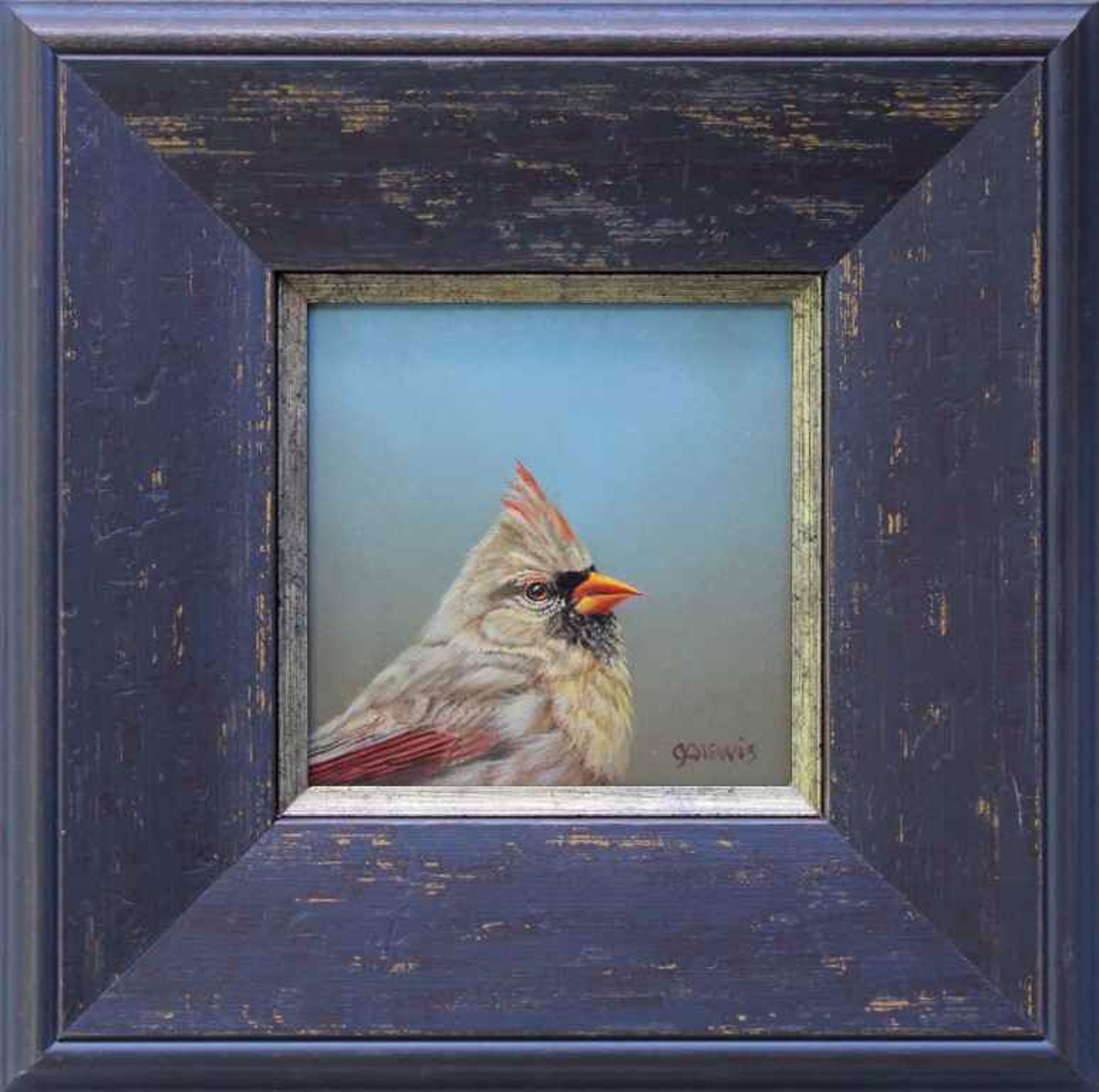 Female Cardinal by Jhenna Quinn Lewis | InSight Gallery