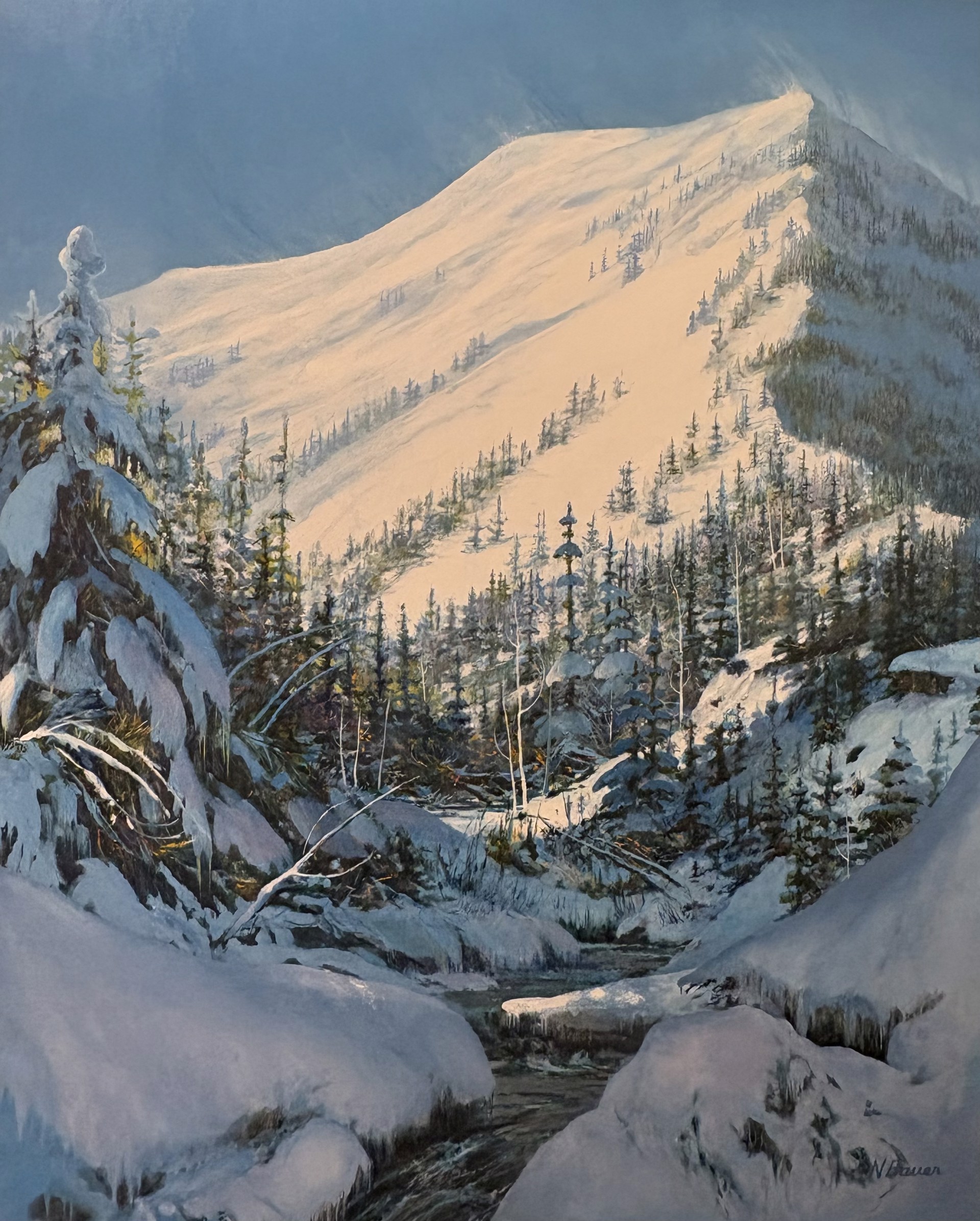 Nancy Bauer | Breckenridge Gallery