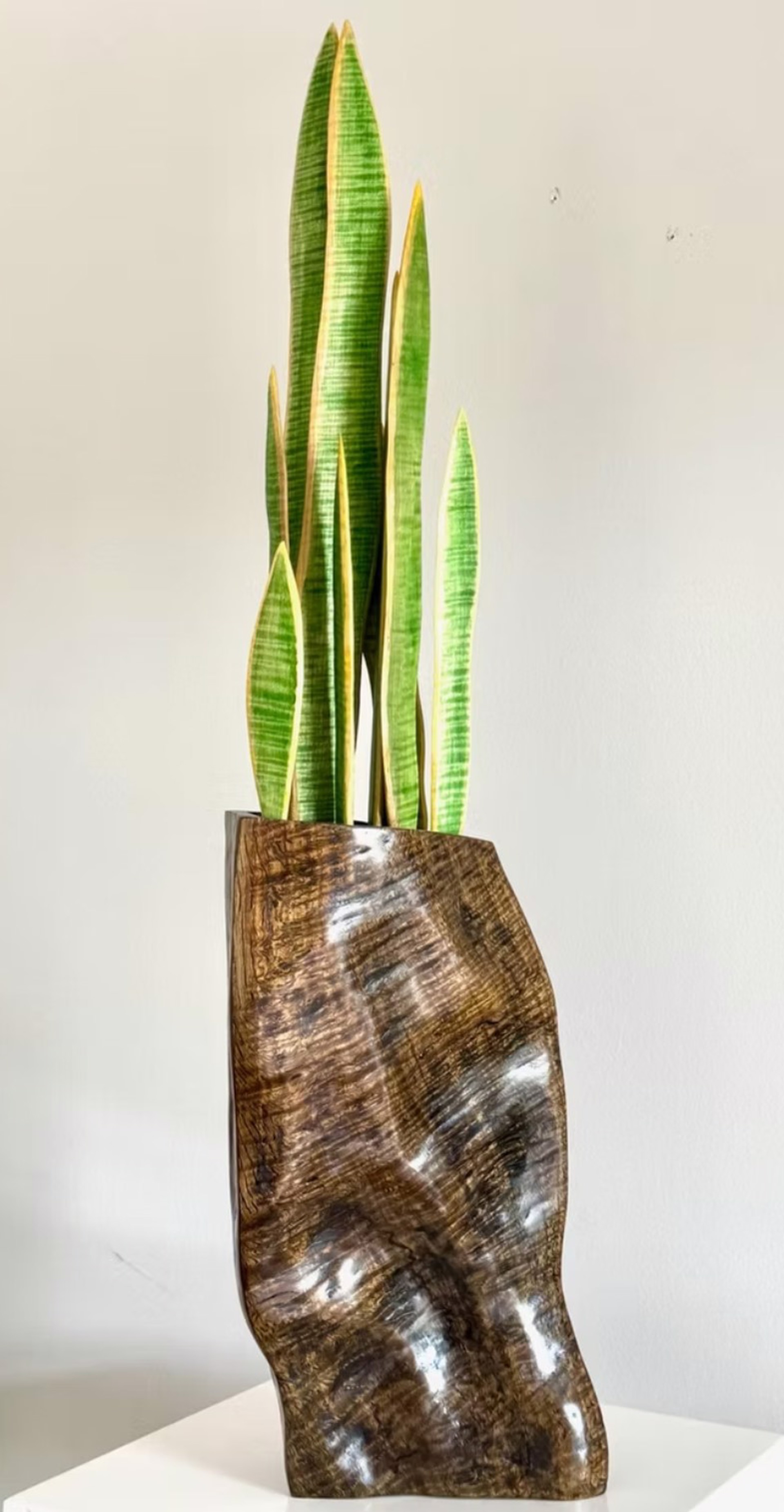 New Growth by LENNY ROSENTHAL | Objects Art & More