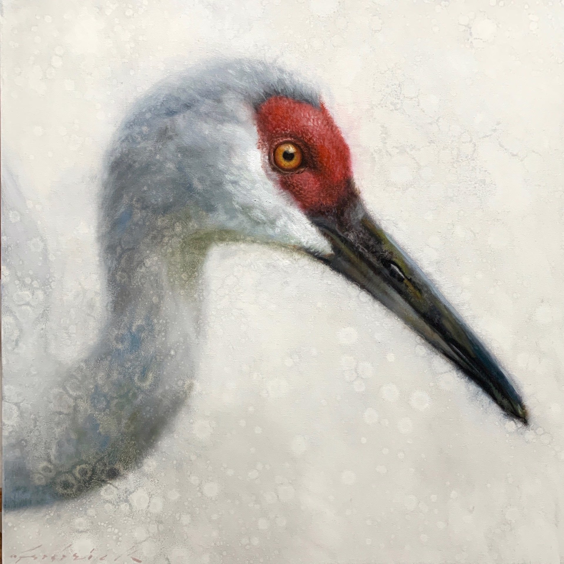 SANDHILL CRANE by David Frederick Riley | Montana Trails Gallery