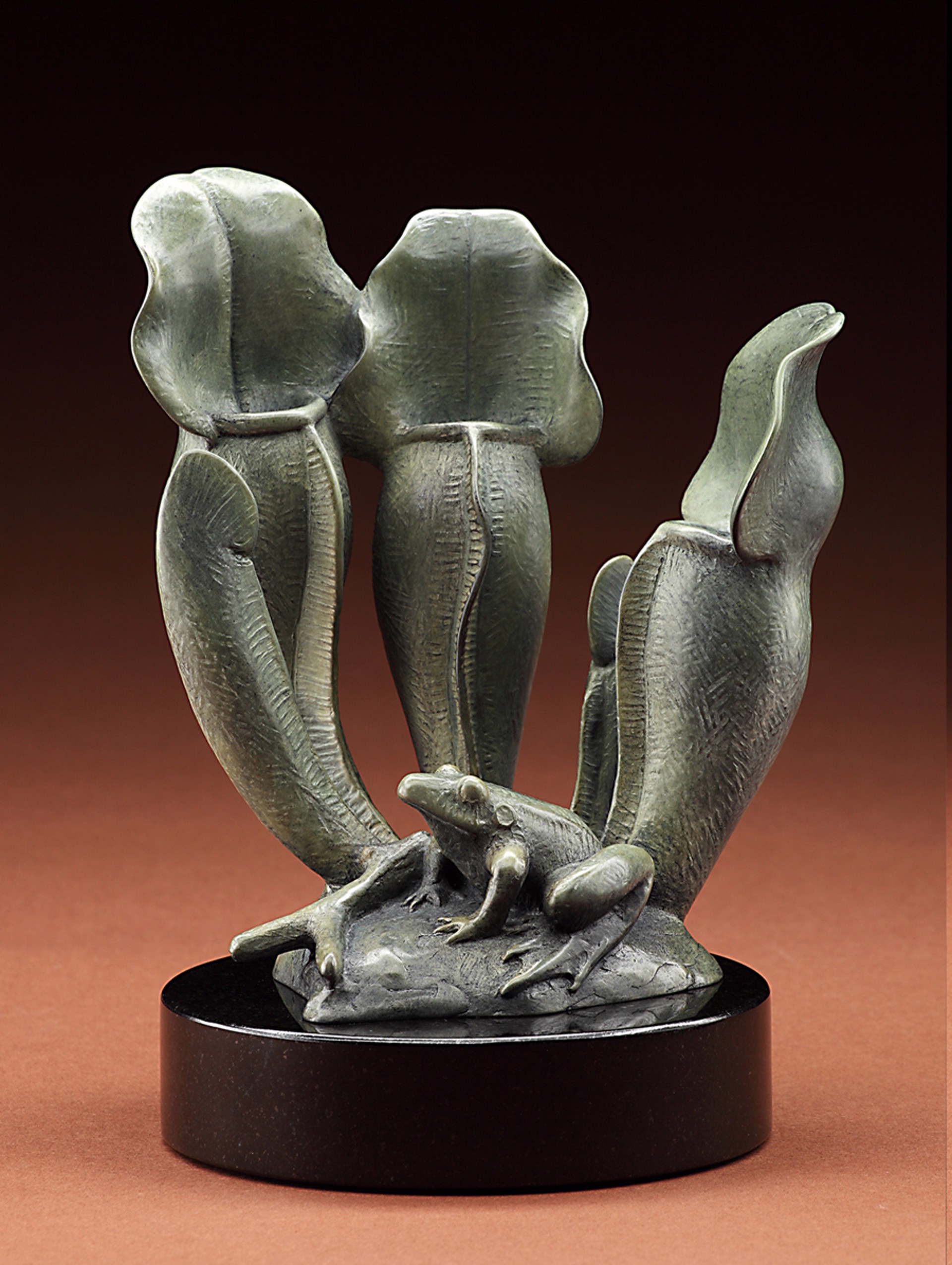 Purple Pitcher Plants and Frog by Tony Hochstetler | Bronze Coast ...