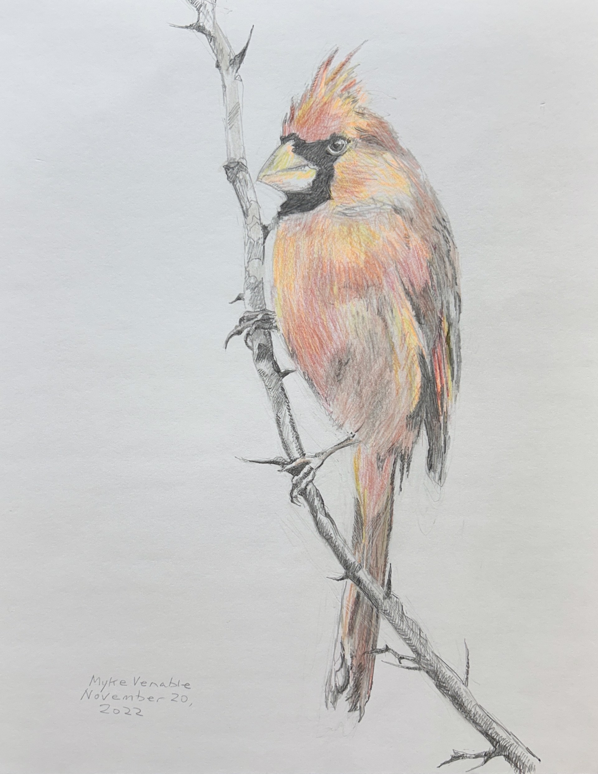 Myke Venable | Crown Gallery