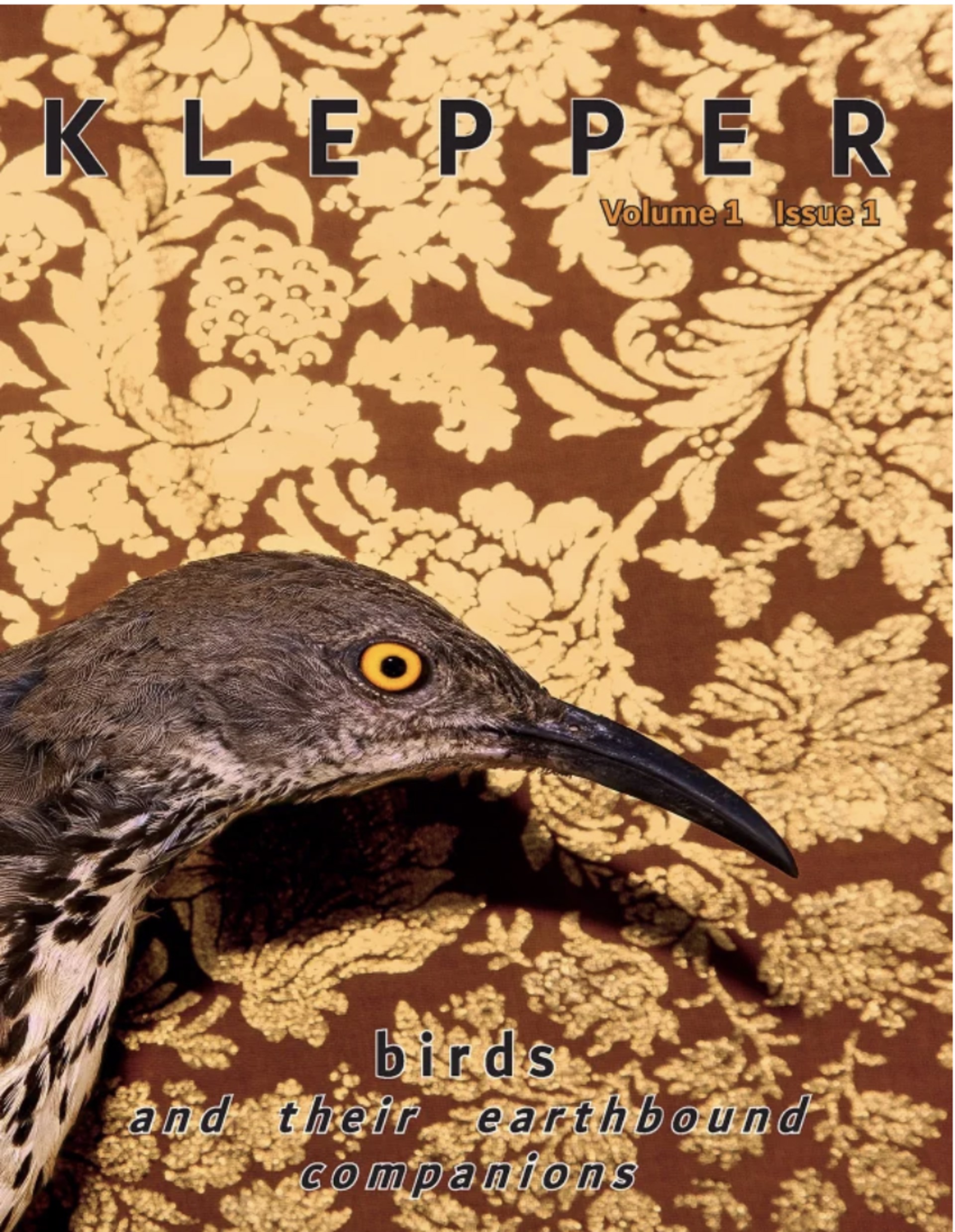 E. Dan Klepper: Birds and Their Earthbound Companions - Volume 1:1 by ...