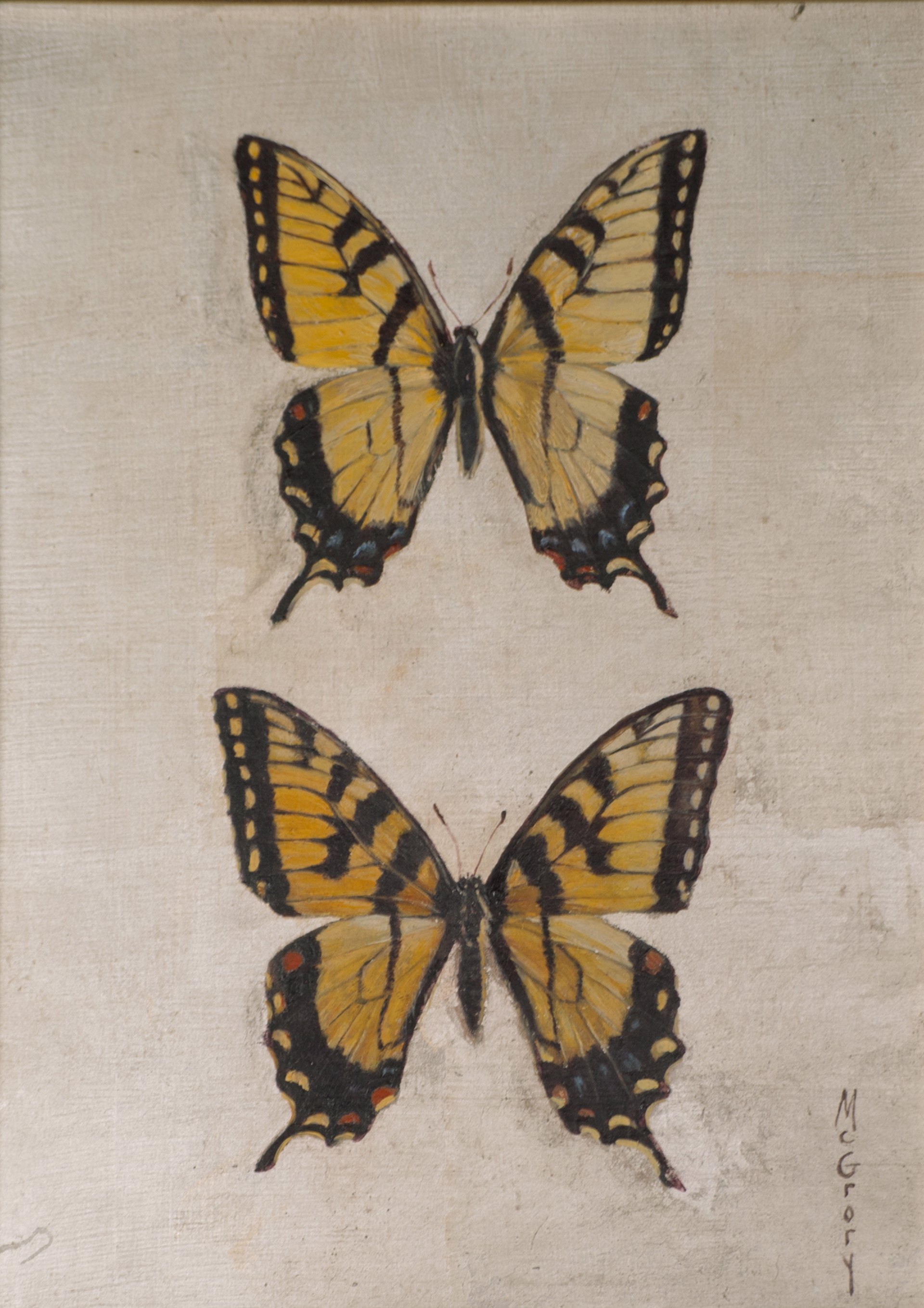 Two Tigers by Anne McGrory | Susan Powell Fine Art