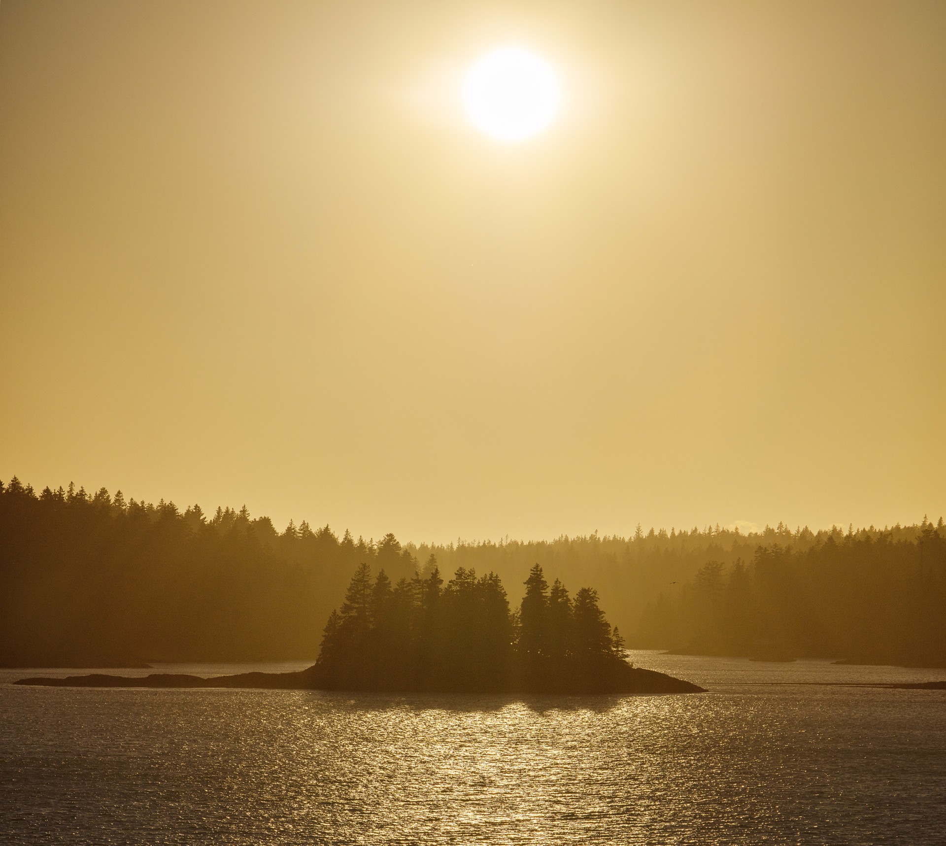 The Island by Peter Ralston | Ralston Gallery