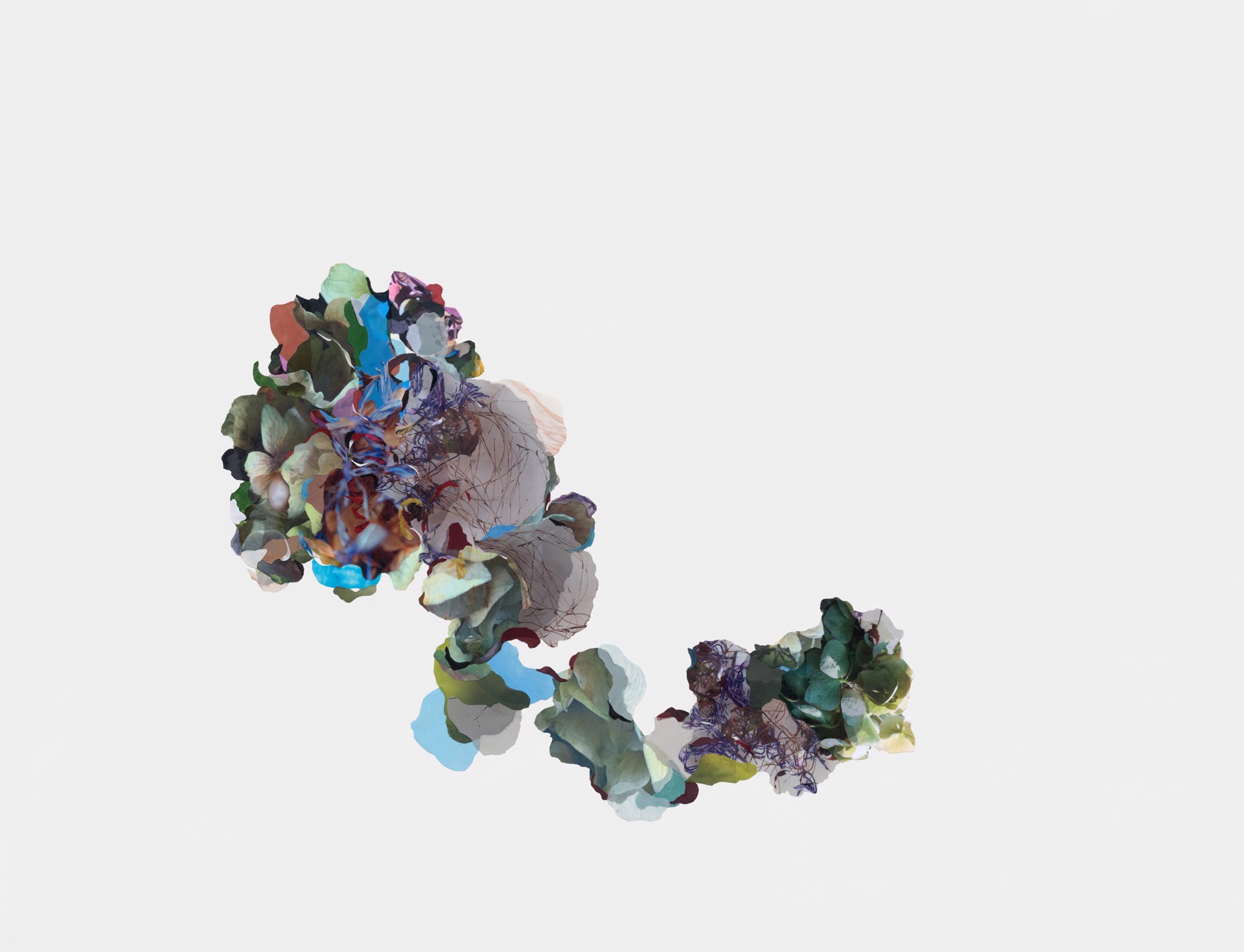 Lisa McCutcheon: Creature | DOLBY CHADWICK GALLERY