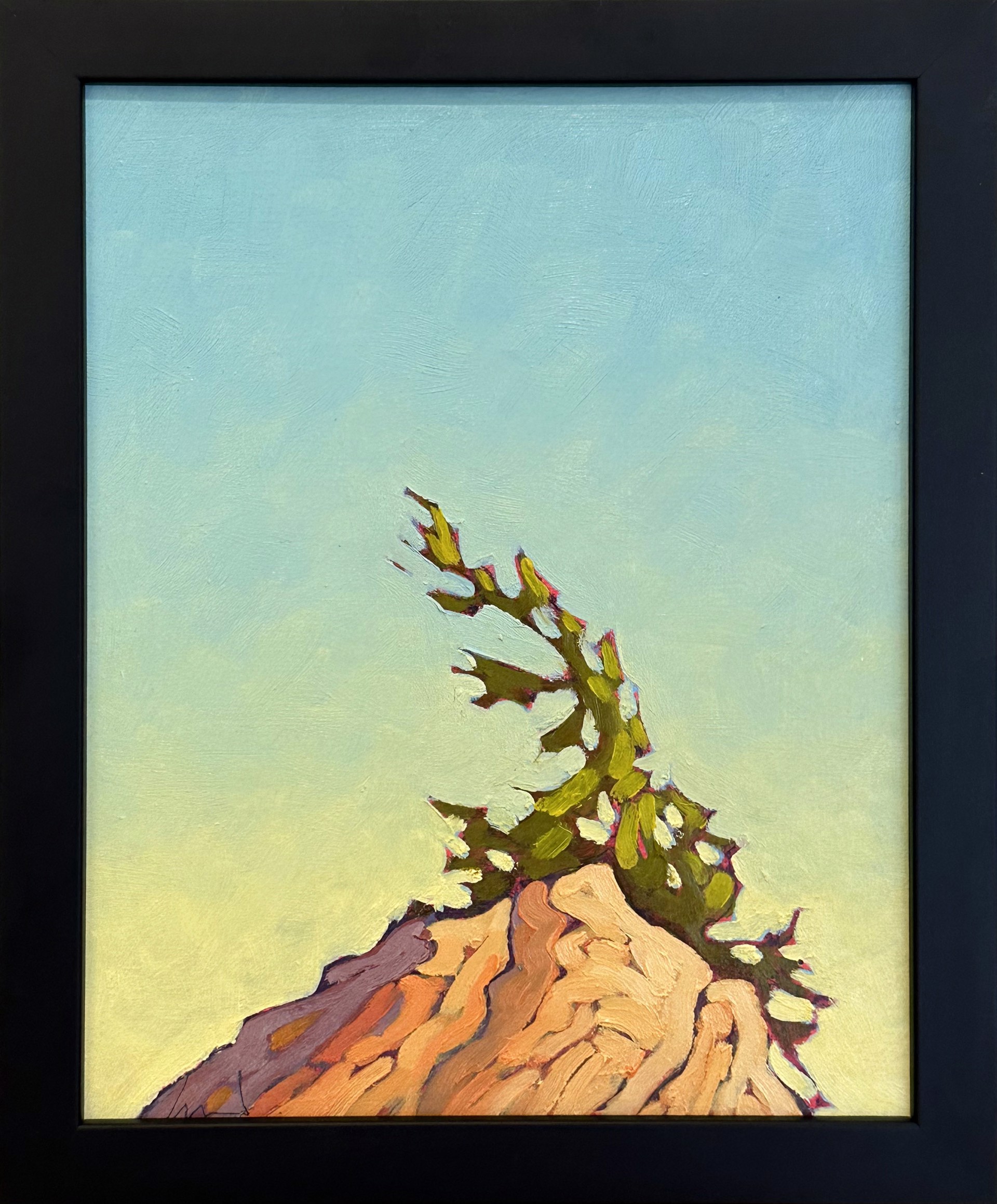 Hanging On by John Lennard | Colborne Street Gallery