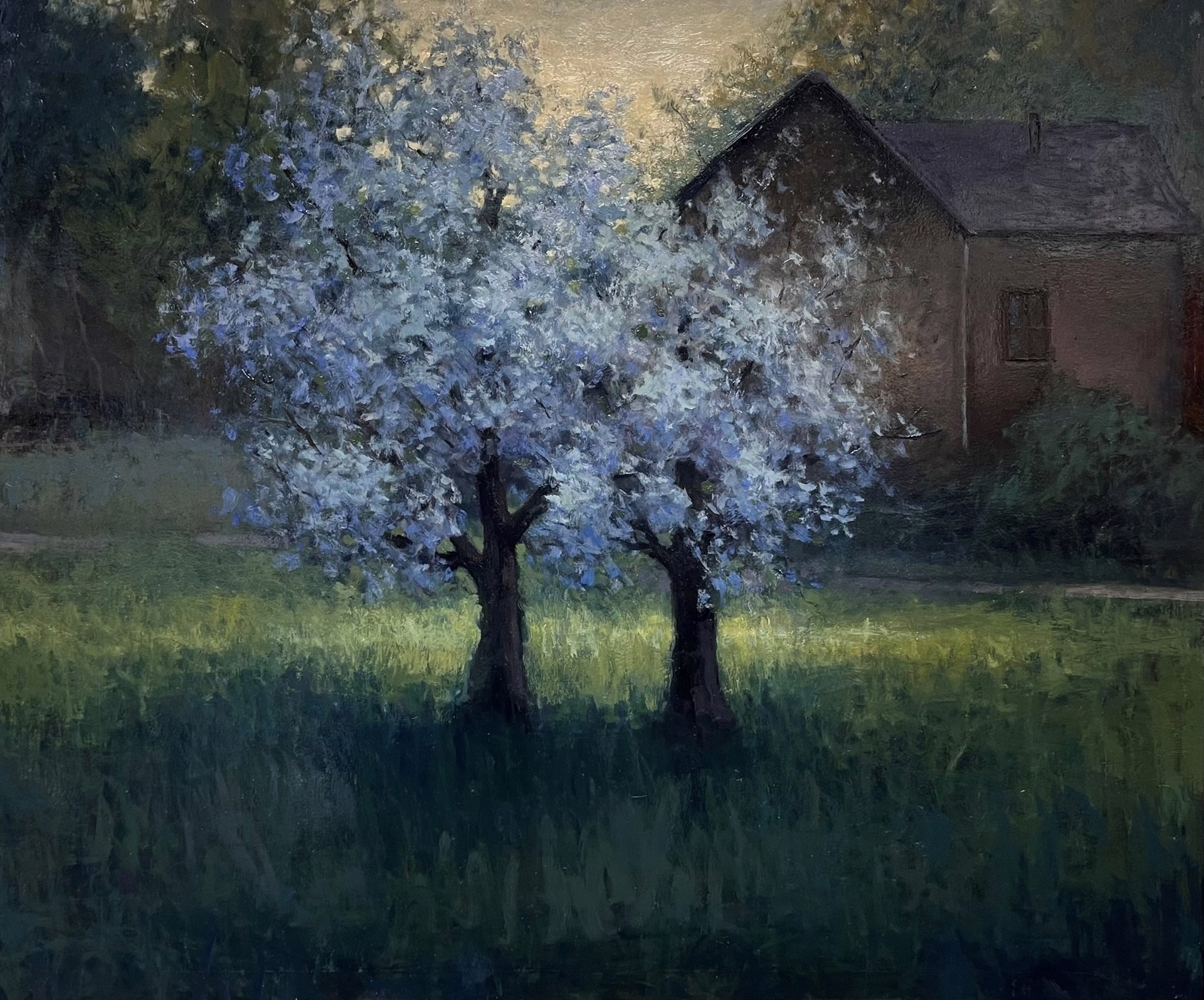 Seth Winegar | Abend Gallery