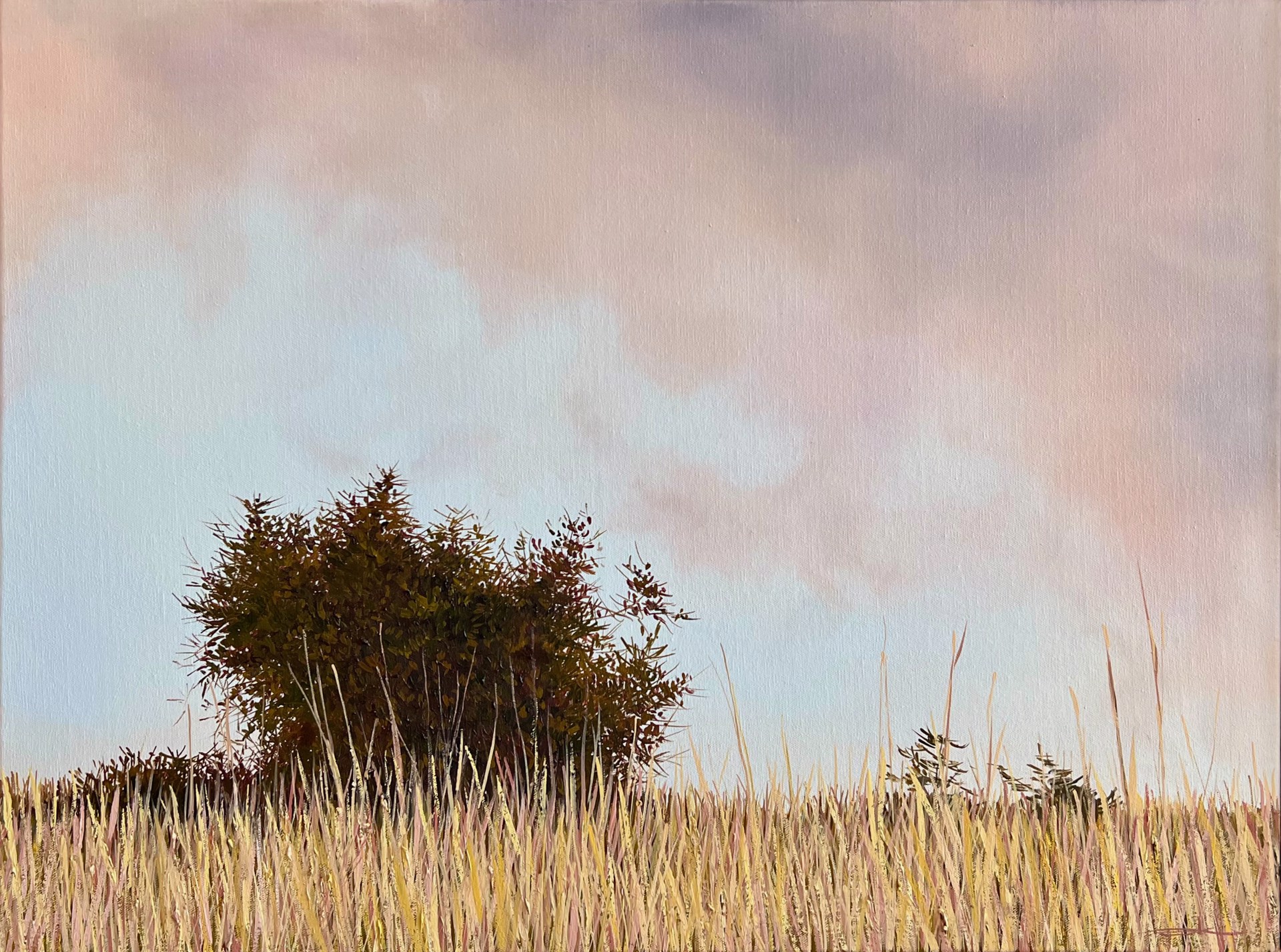 Andrea Hopgood | Nissarana Galleries