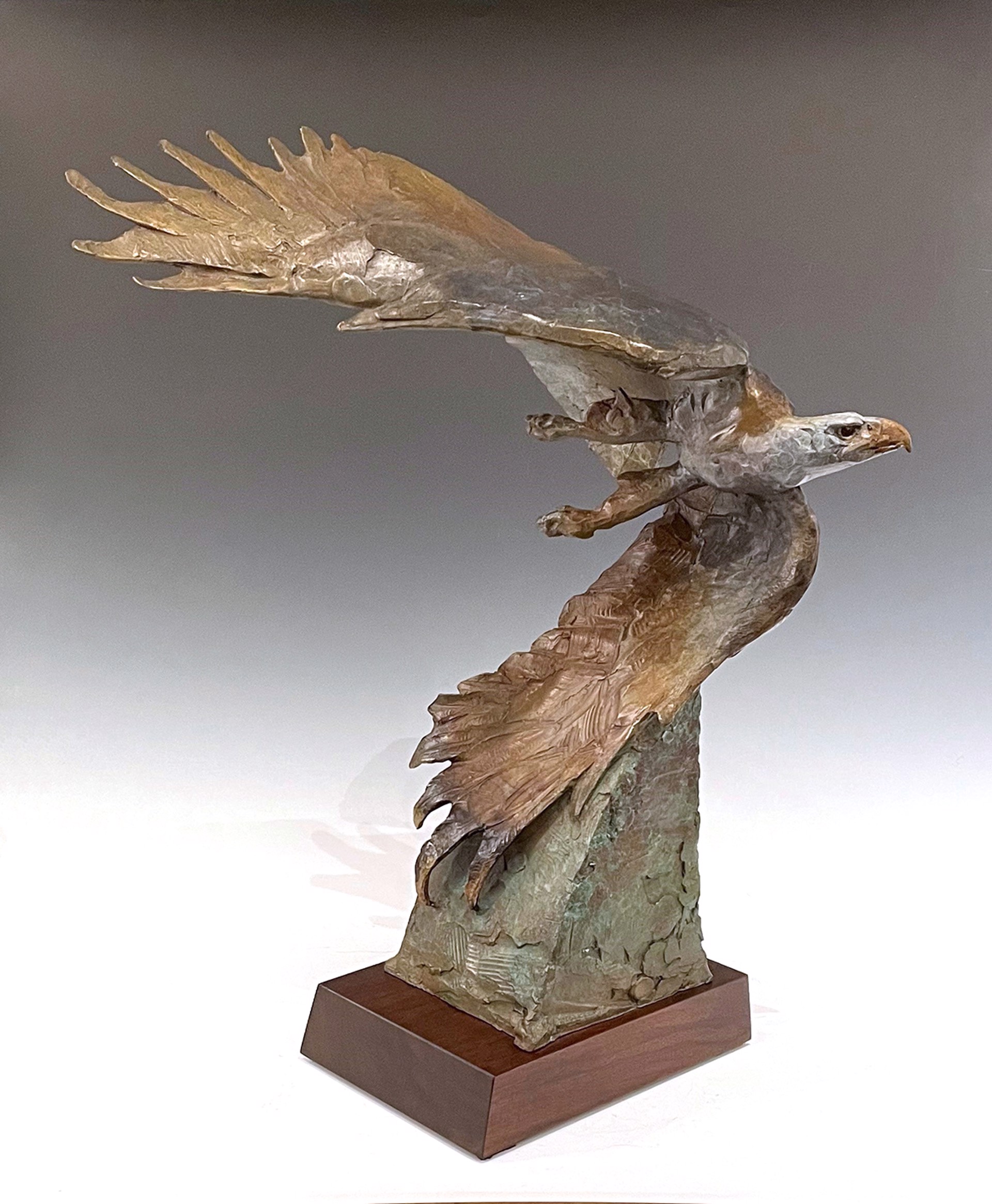 Where Eagles Fly by Dan Chen | Bronze Coast Gallery & Brumfield Gallery