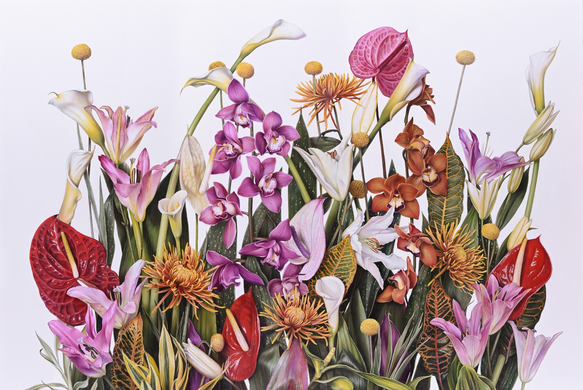 Victoria Novak | Abend Gallery